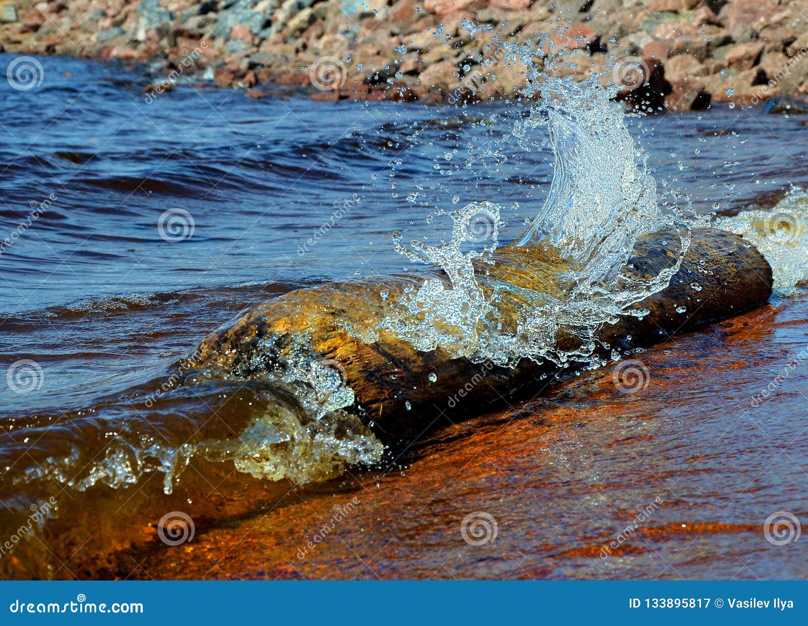 Log Floats in the Water Near the Shore and Splashes. Stock Image ...