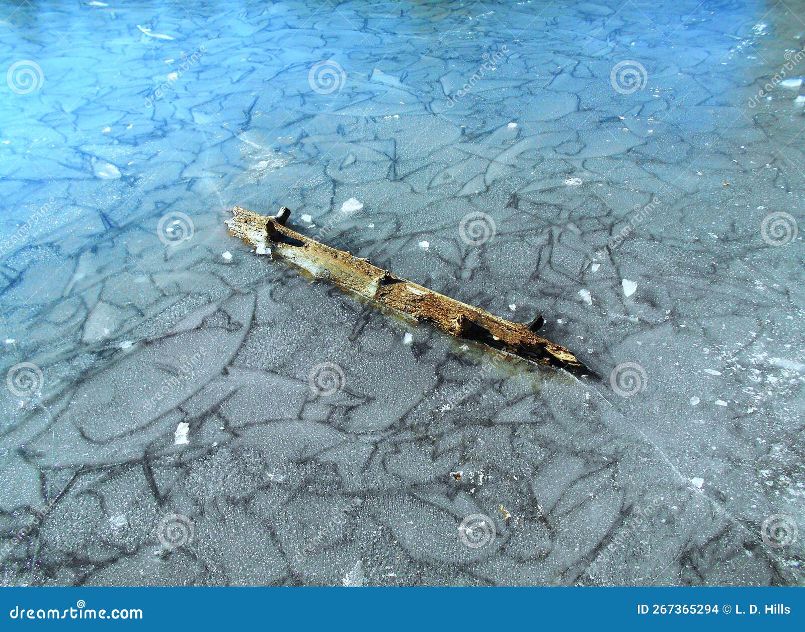 Strange Ice Patterns stock photo. Image of winter, chilly - 267365294