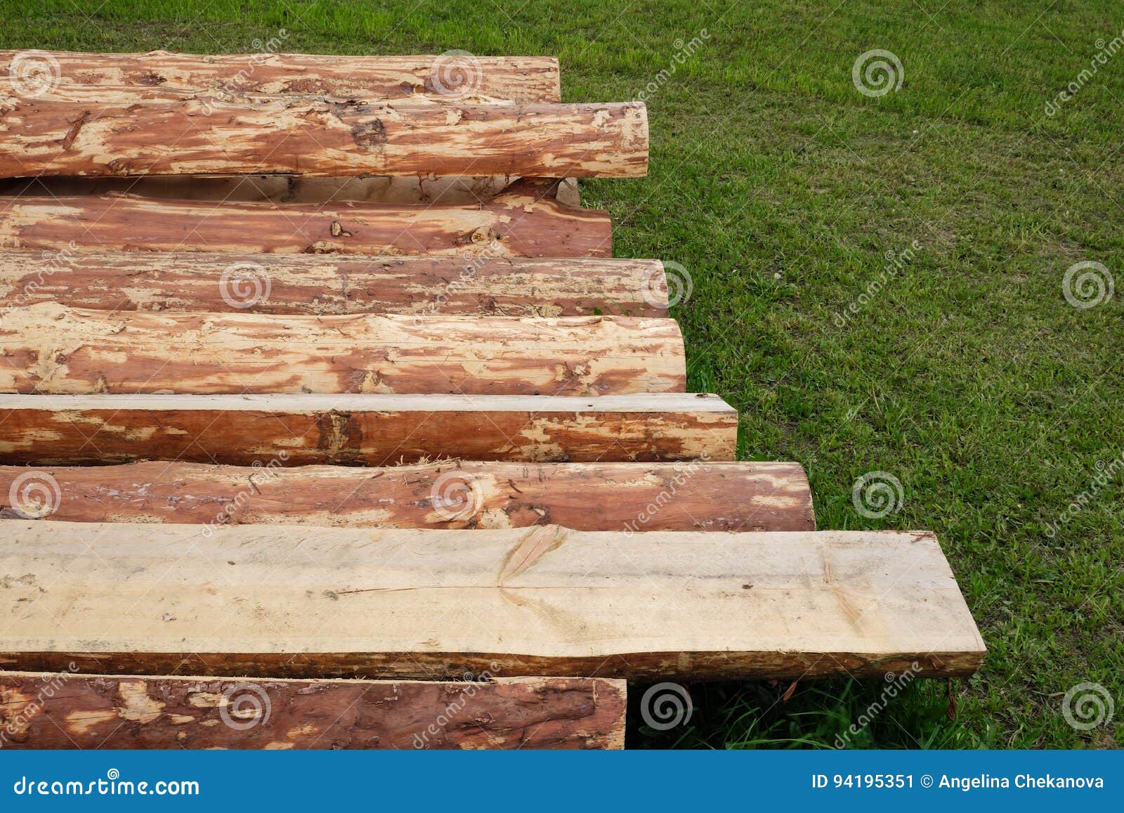 A Log on Green Grass in Garden Stock Image - Image of summer, view ...
