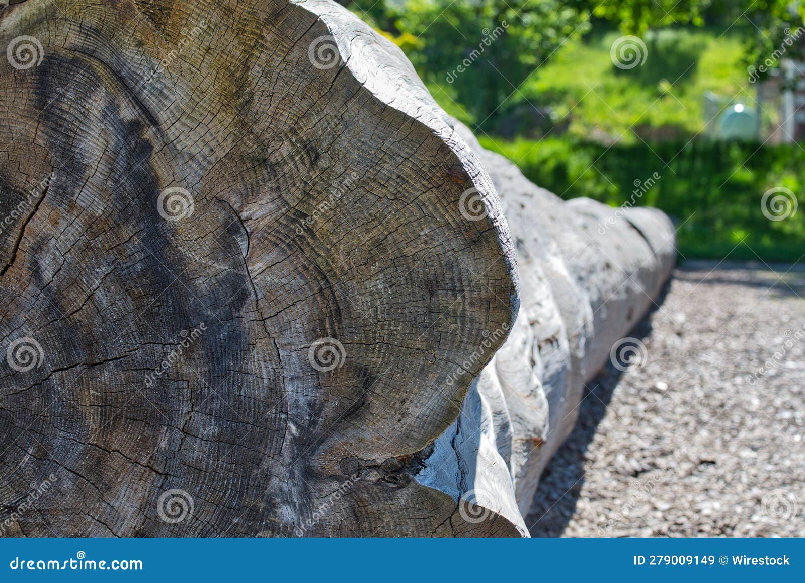 Log on the Ground in a Rustic Outdoor Setting Stock Image - Image of ...