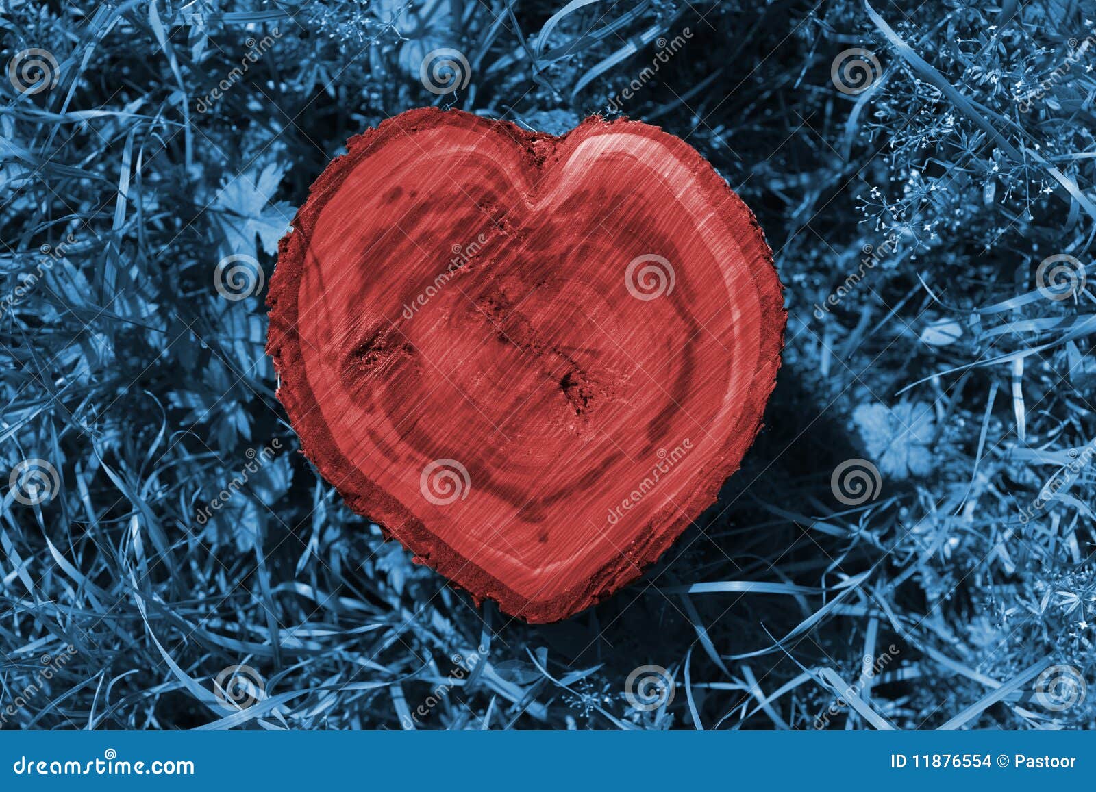Log heart stock photo. Image of feeling, ecologic, ecology - 11876554