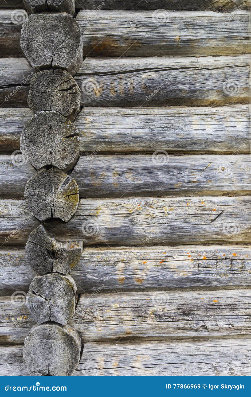 Log home wall detail stock image. Image of surface, wall - 77866969