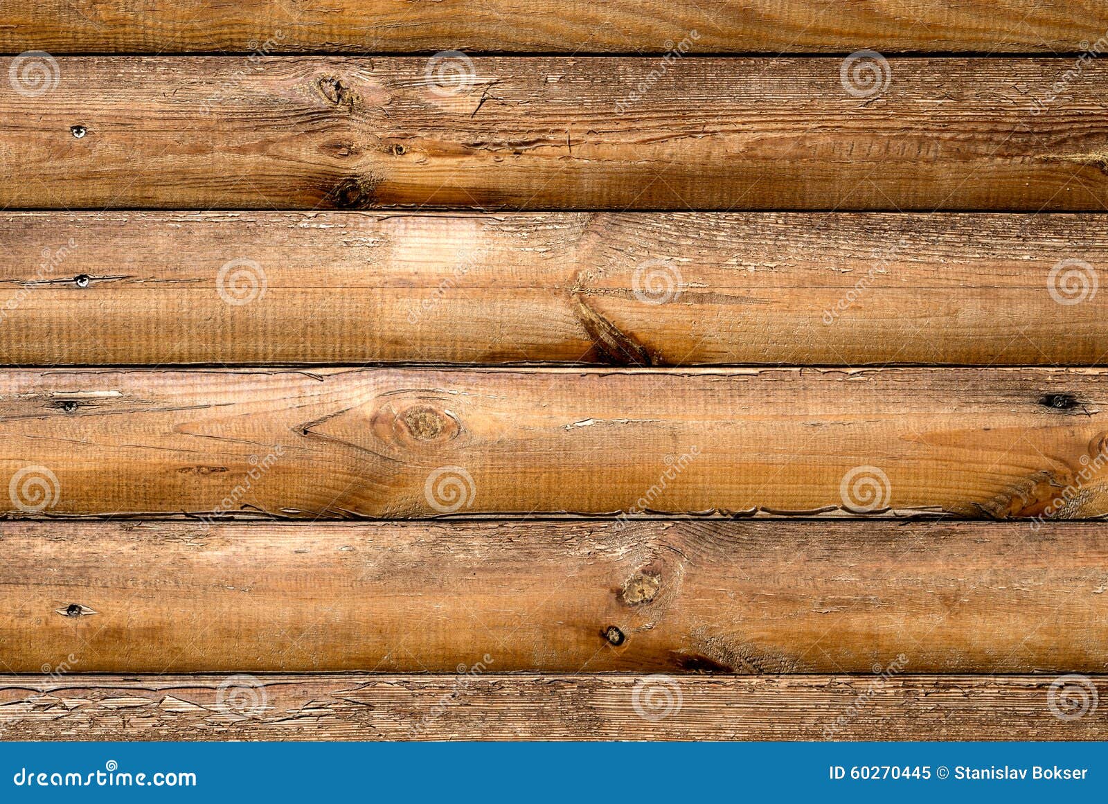 Single Log Texture