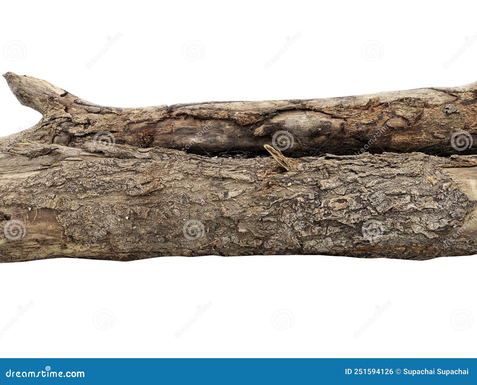 Log Isolated on a White Background Stock Photo - Image of organic ...