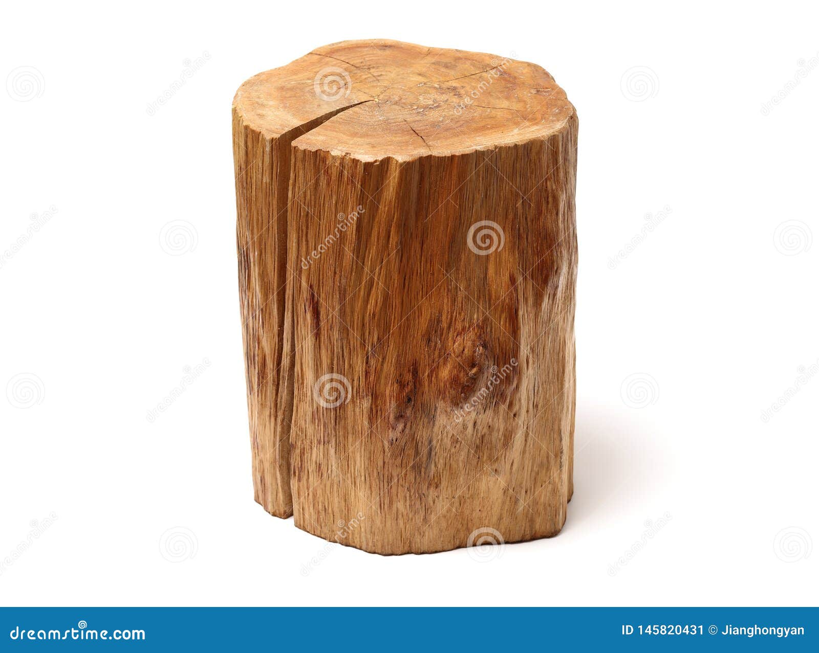 Log Isolated on White Background Stock Image - Image of birch ...