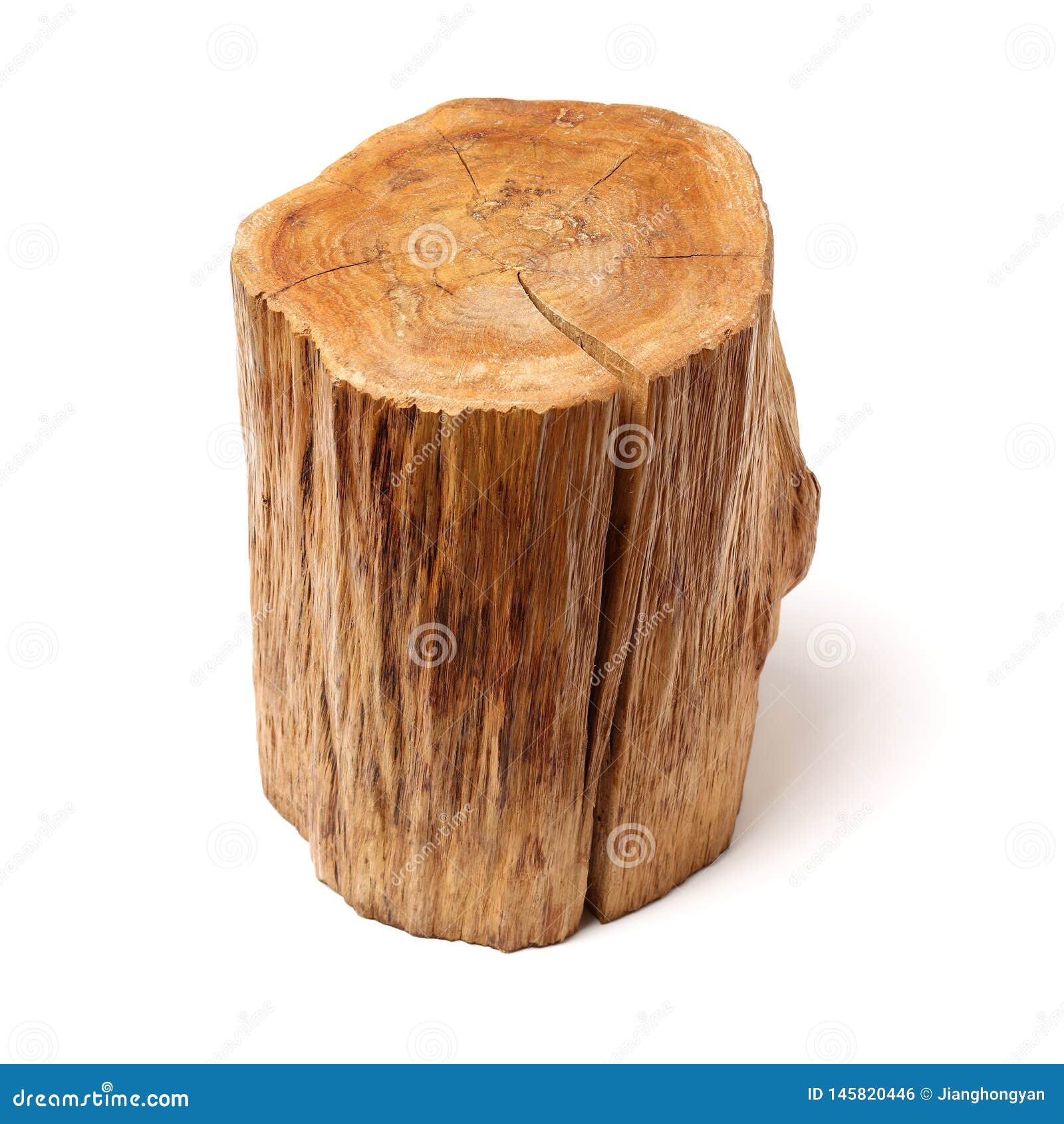 Log Isolated on White Background Stock Photo - Image of plant, forest ...