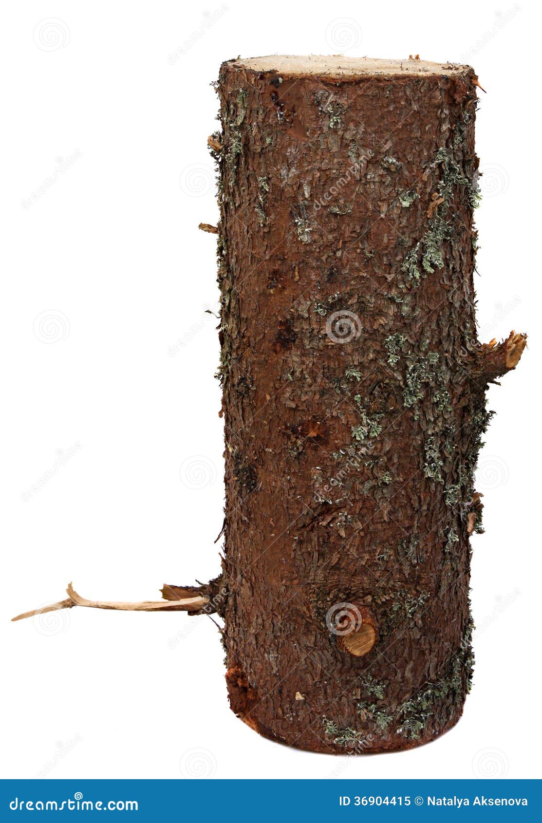 Log Isolated On A White Background Stock Image - Image of natural, stem ...