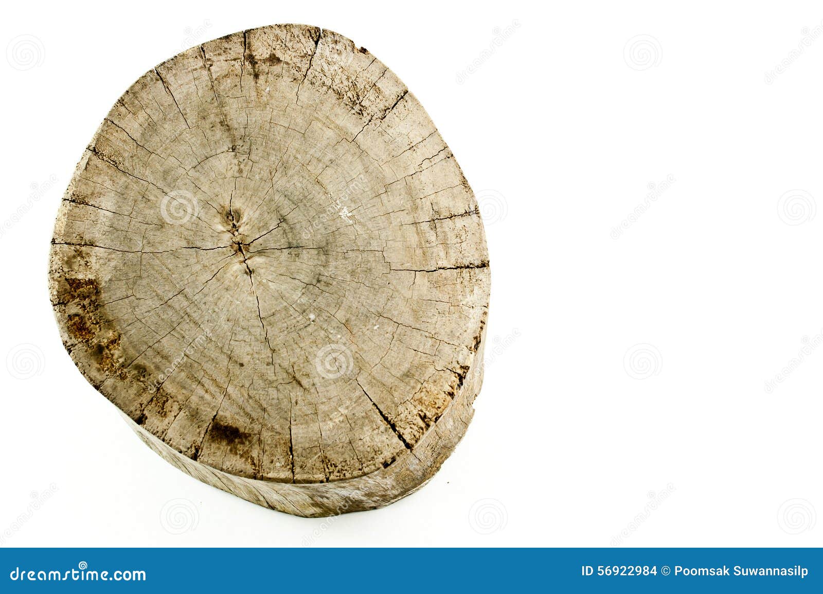 Log Isolated on White Background Stock Photo - Image of white, plant ...