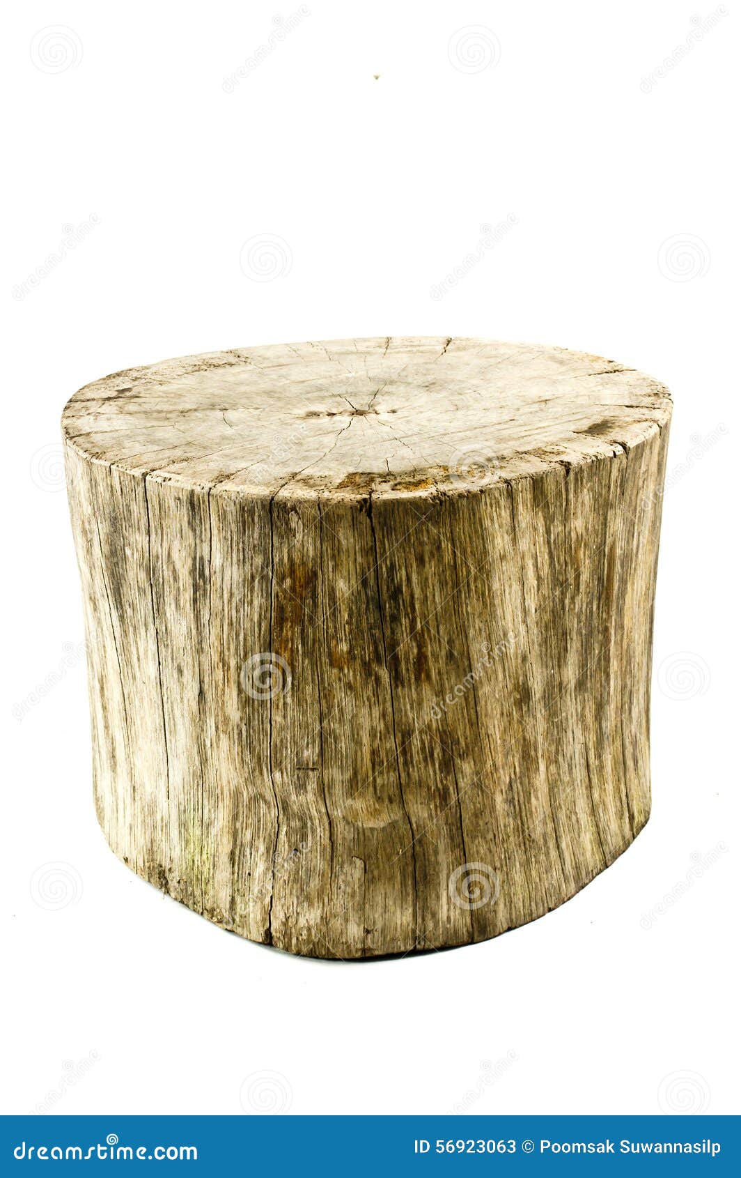 Log Isolated on White Background Stock Image - Image of nature, detail ...