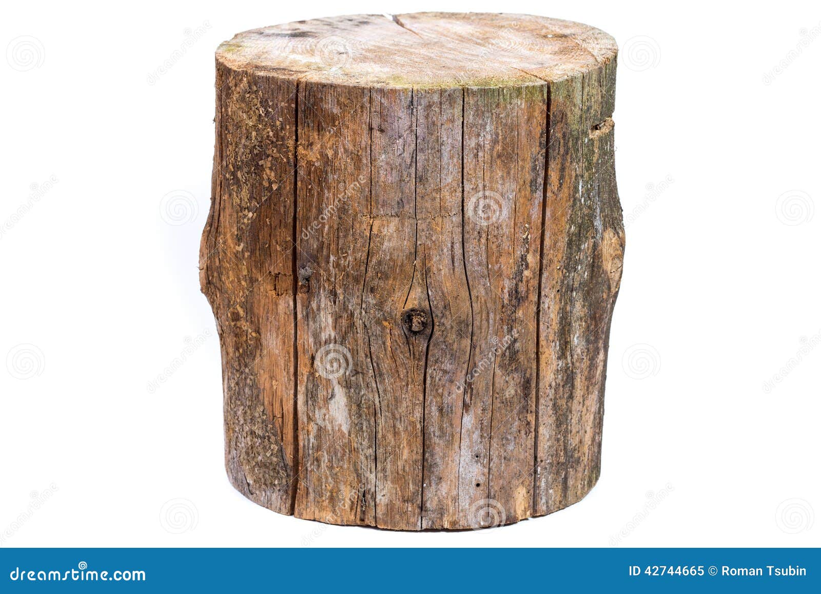 Log Isolated on a White Background Stock Image - Image of organic, bark ...