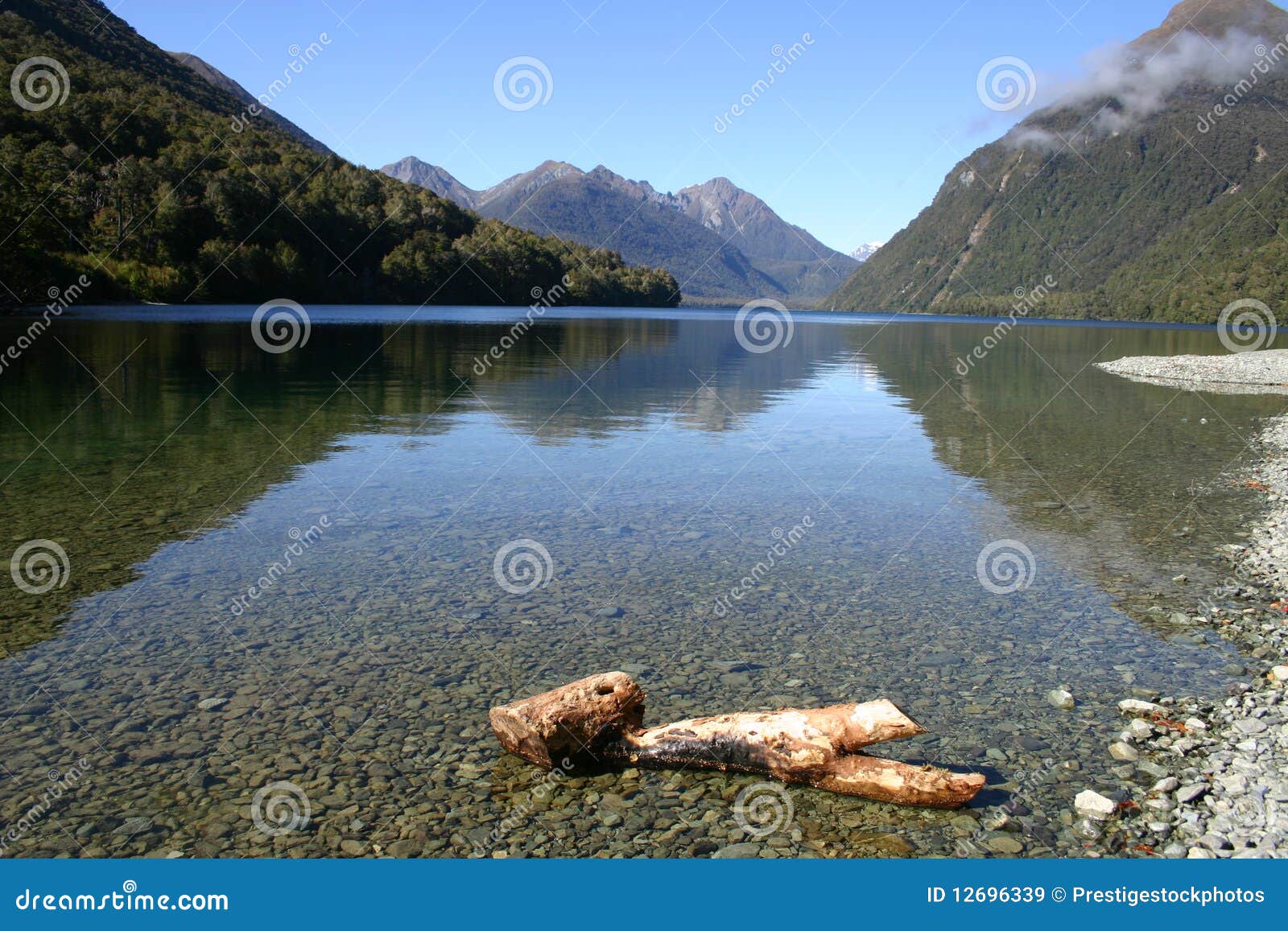 LOG in LAKE stock image. Image of wood, clear, lake, pebbles - 12696339
