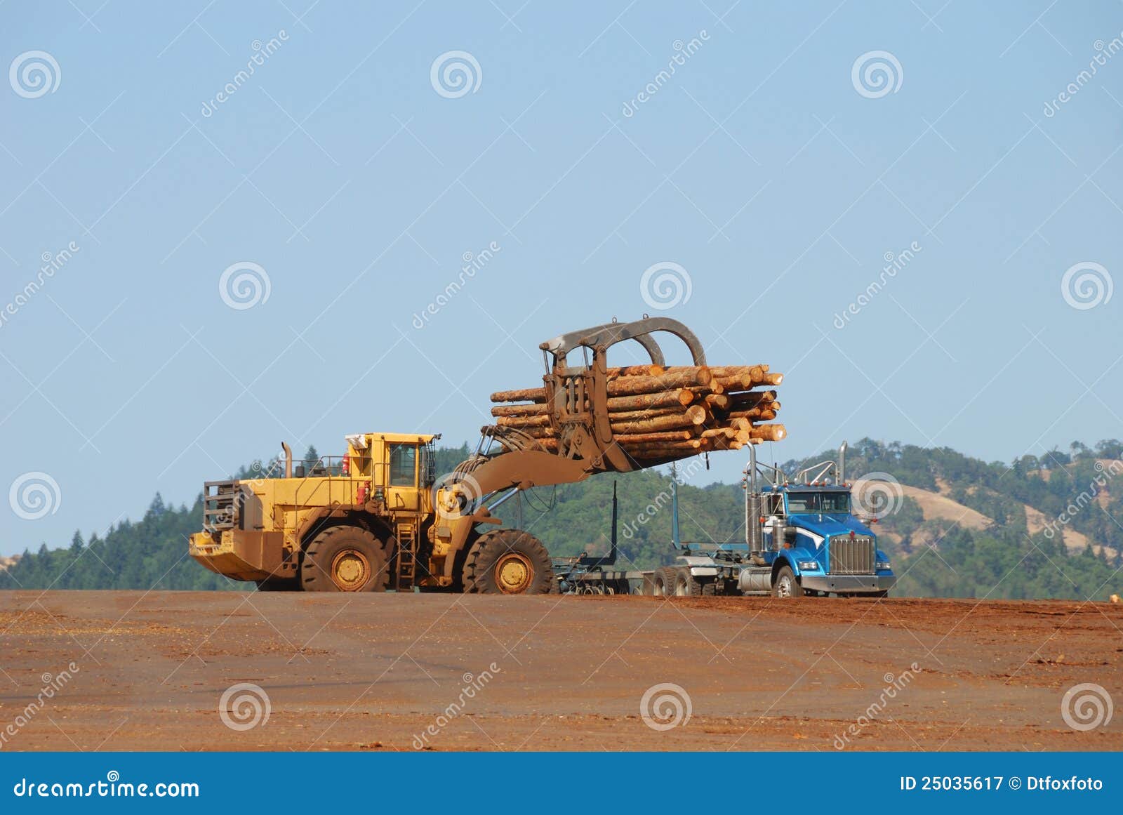 Log Load stock image. Image of pile, forklift, transportation - 25035617