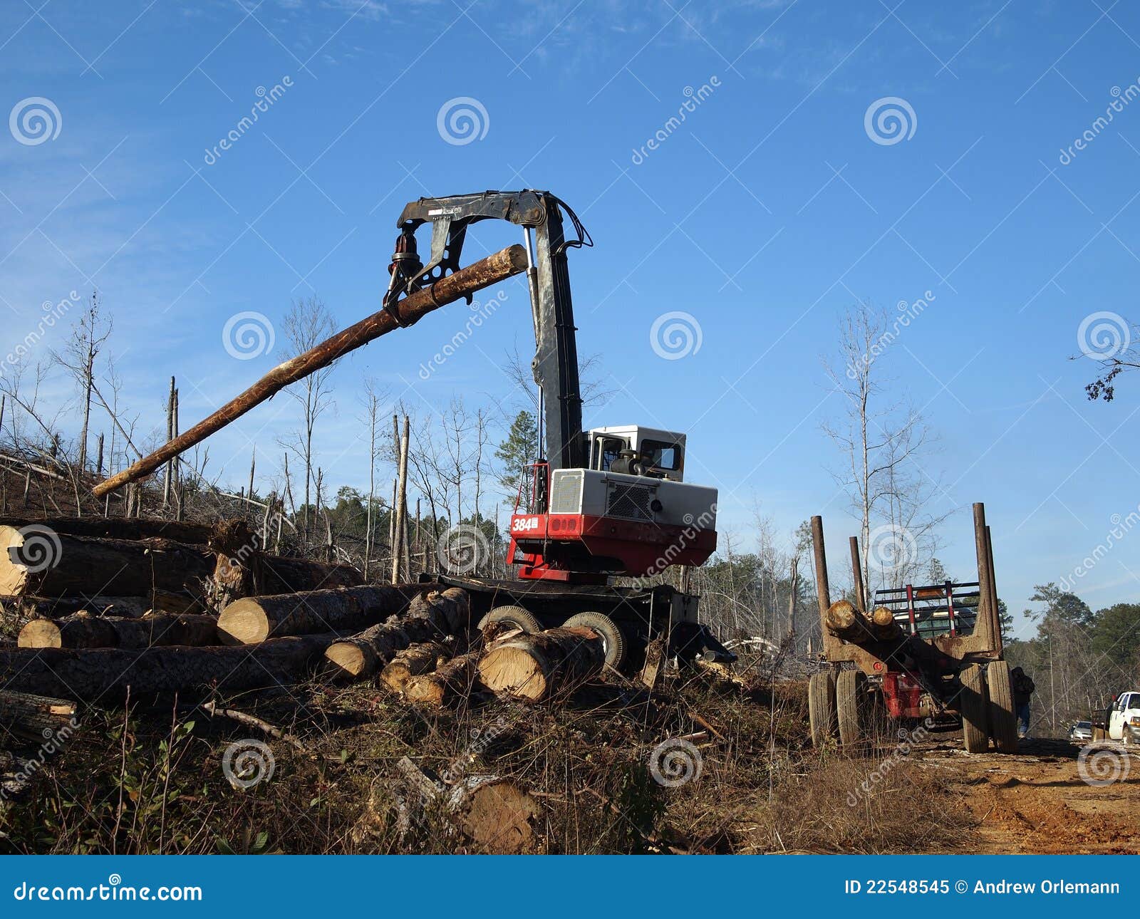 Log Loader stock image. Image of forest, occupation, outdoor - 22548545