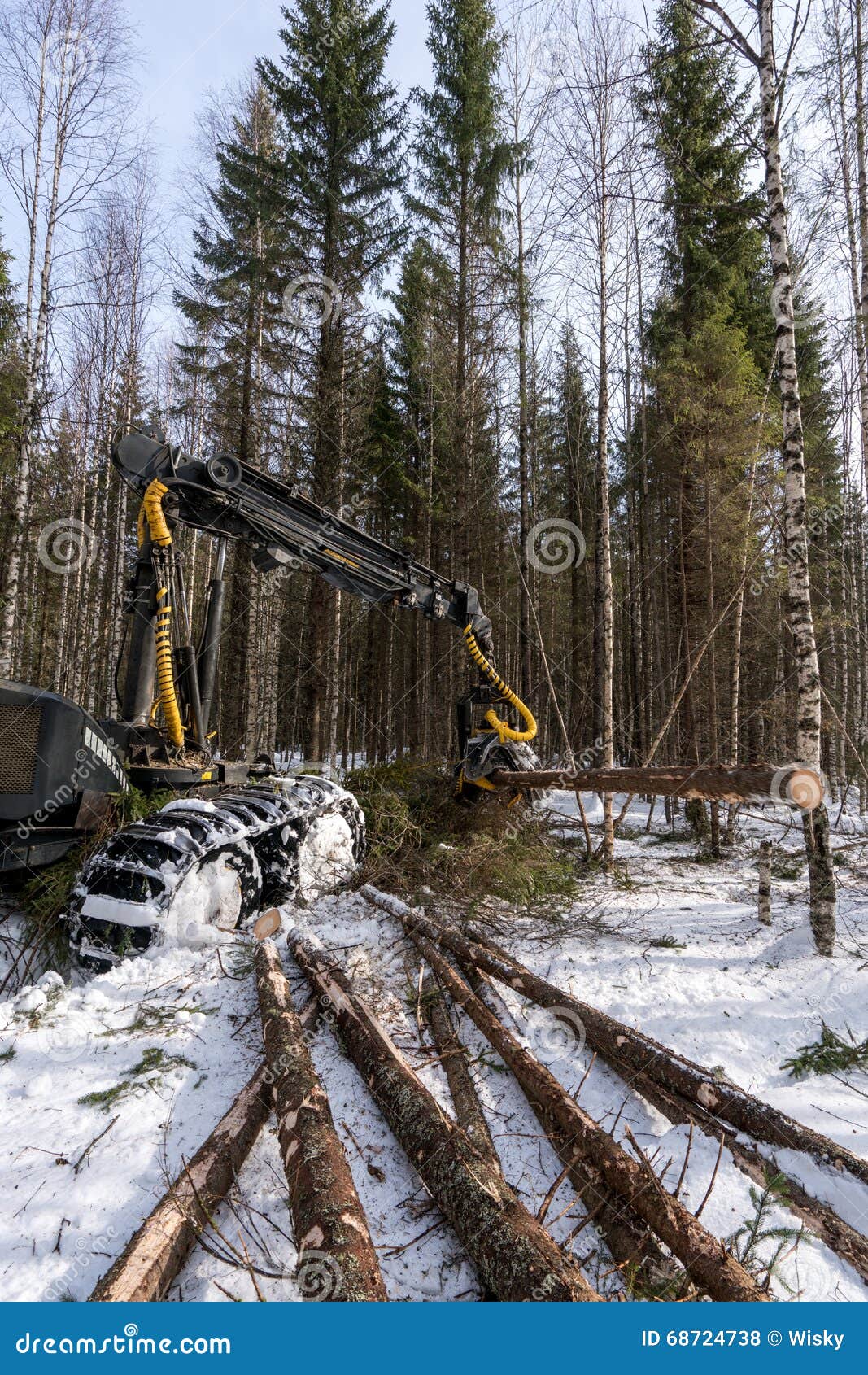 Log Loader Cutting Tree in Winter Forest Stock Photo - Image of ...