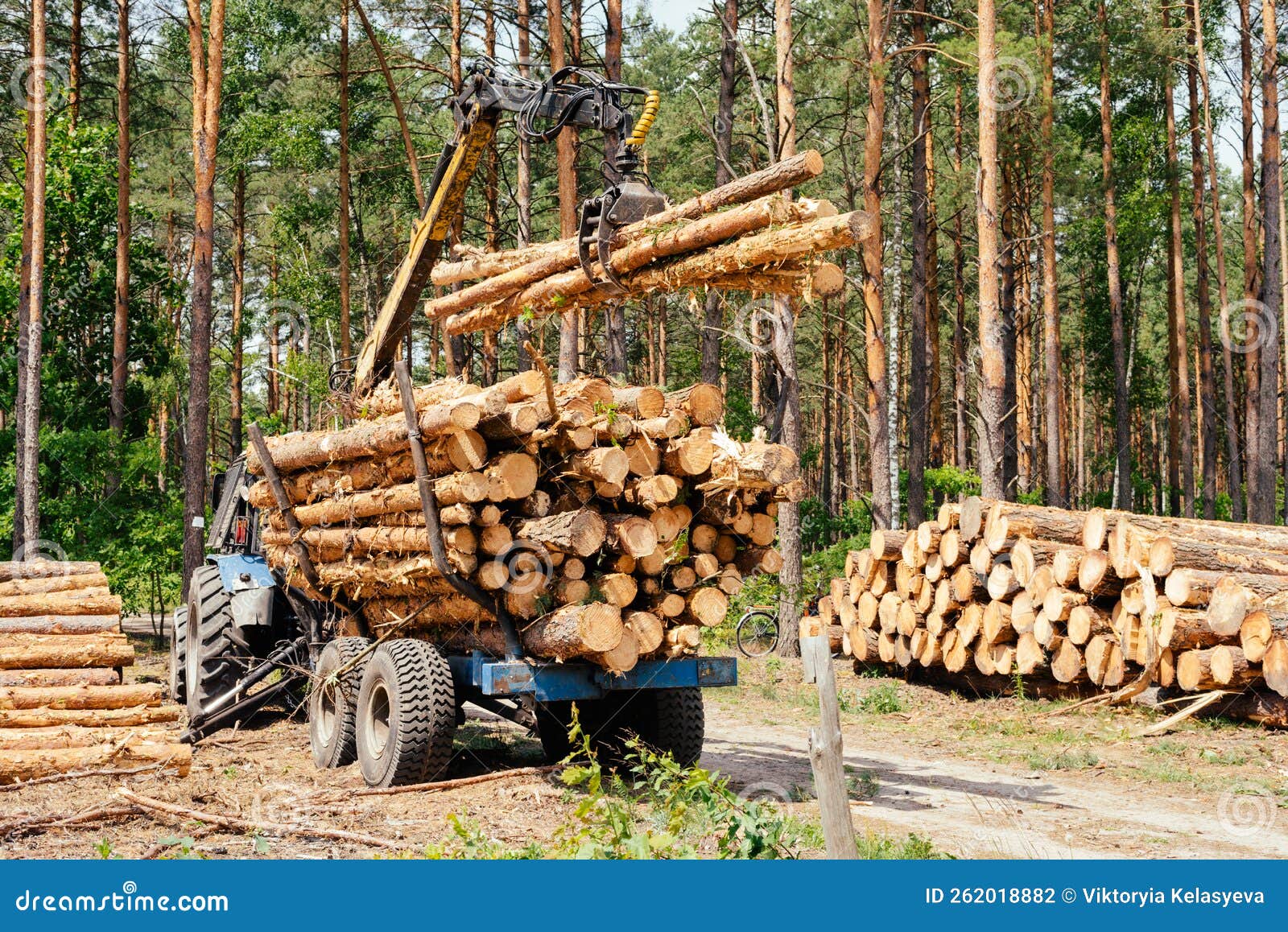 Log Loader or Forestry Machine Loading Its Body Stock Photo - Image of ...