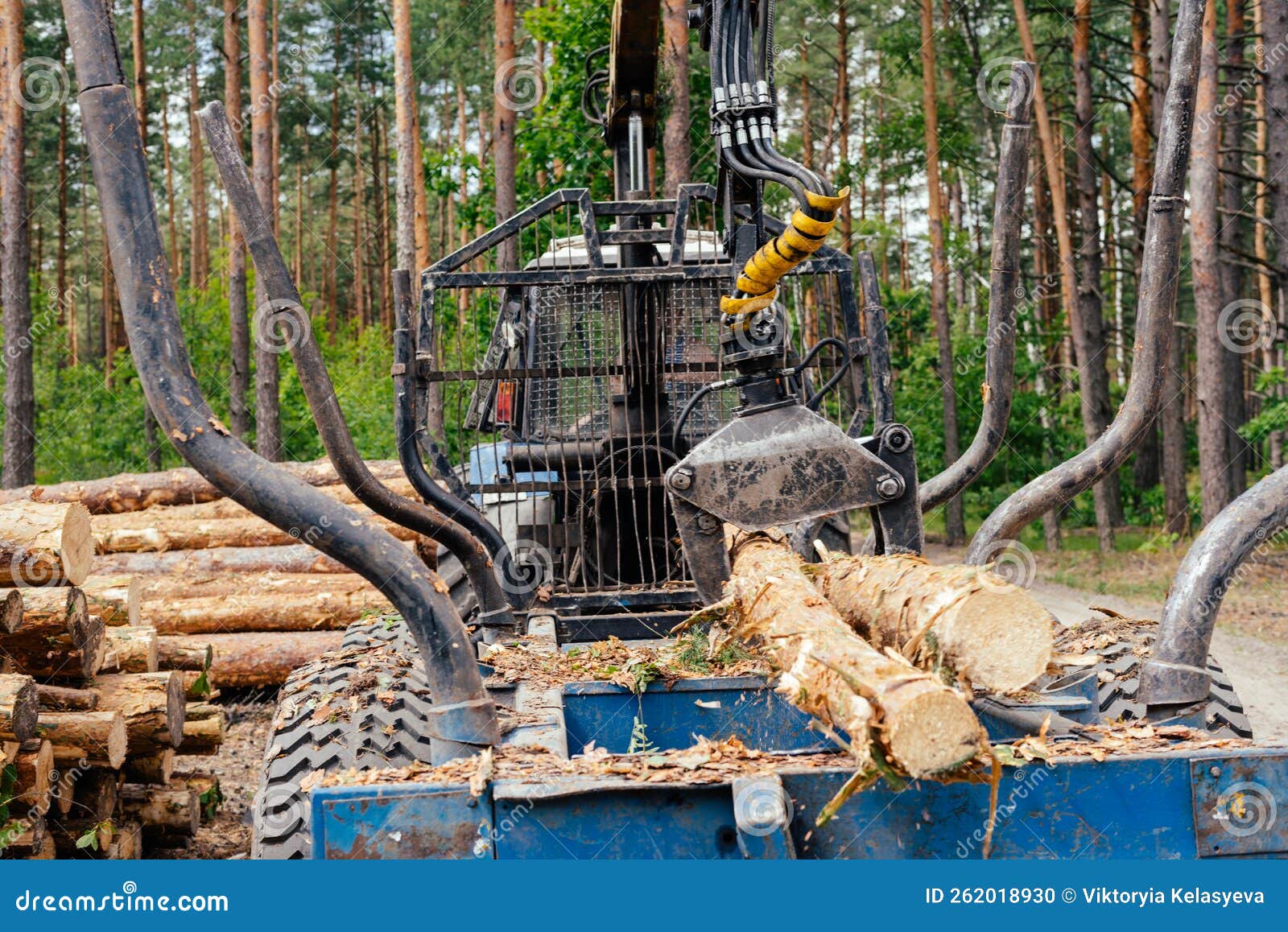 Log Loader or Forestry Machine Loads. the Logs are Folded on the ...