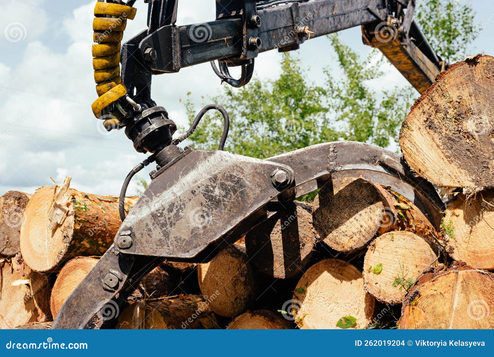 Log Loader or Forestry Machine Loads. the Logs are Folded on the ...