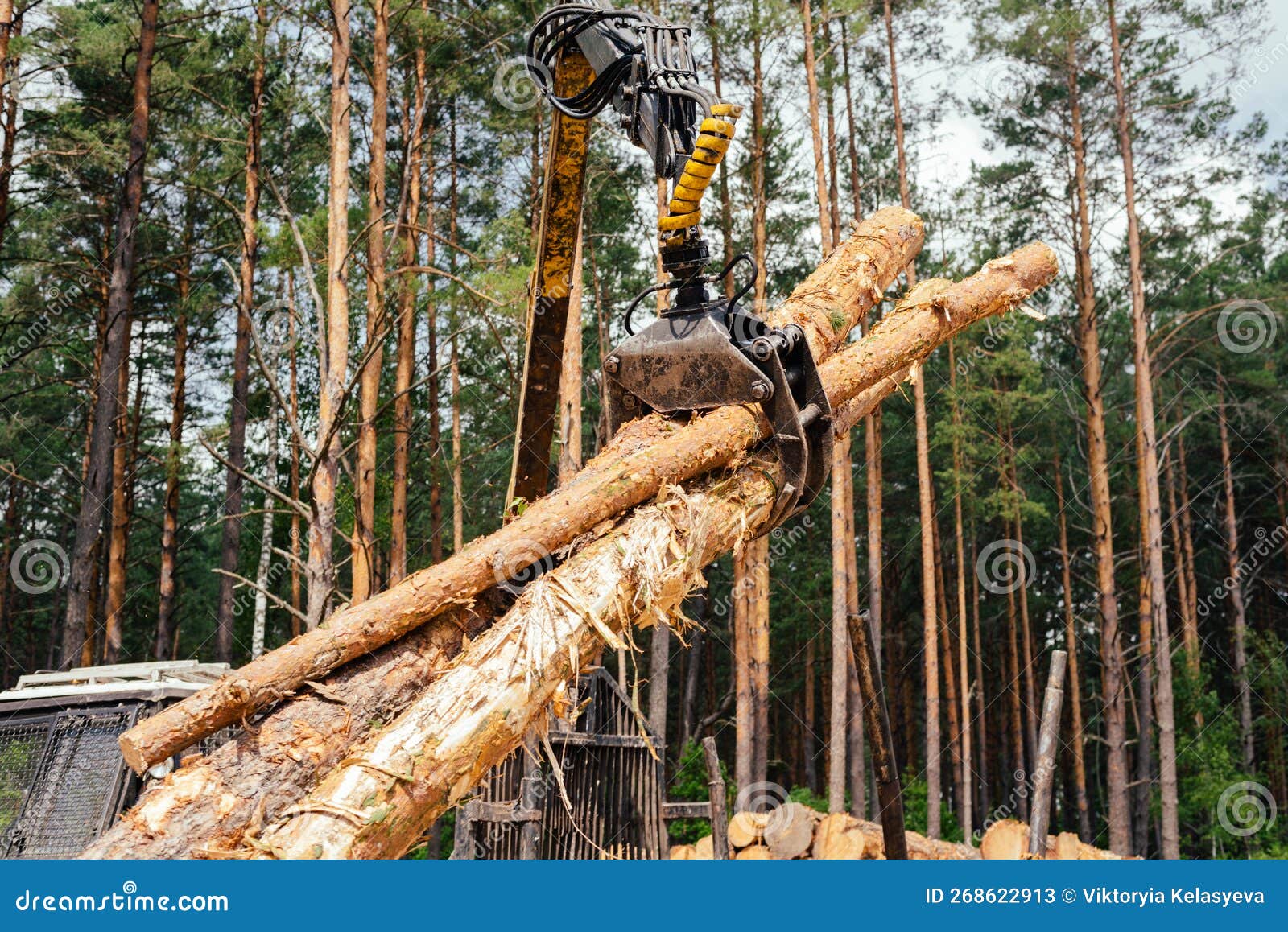 Log Loader or Forestry Machine Loads. the Logs are Folded on the ...