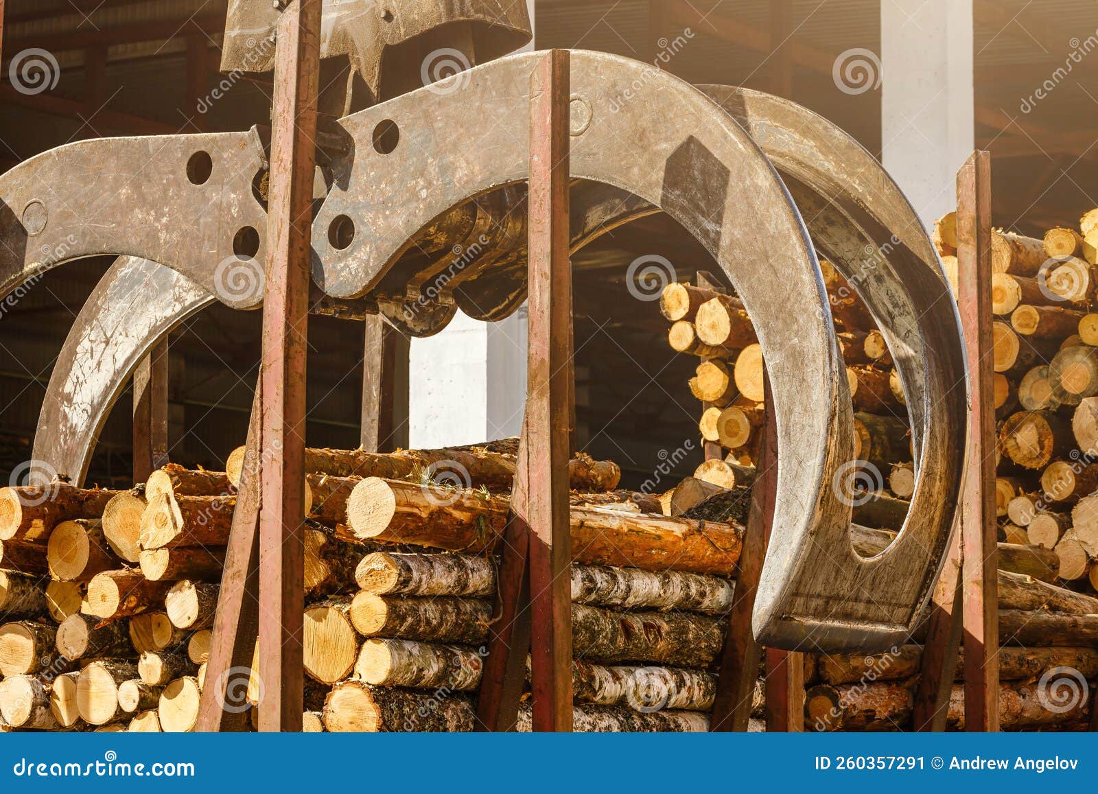 Log Loader or Forestry Machine Loads a Log Truck Stock Image - Image of ...