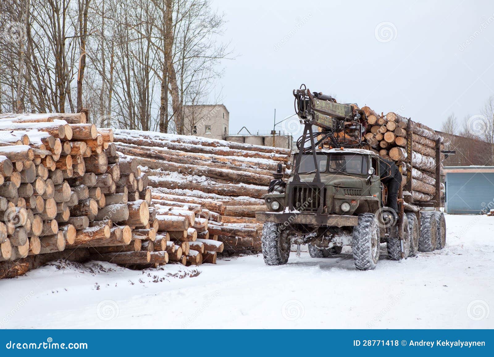 Log Loader Track with Timber Stock Photo - Image of harvest, industry ...