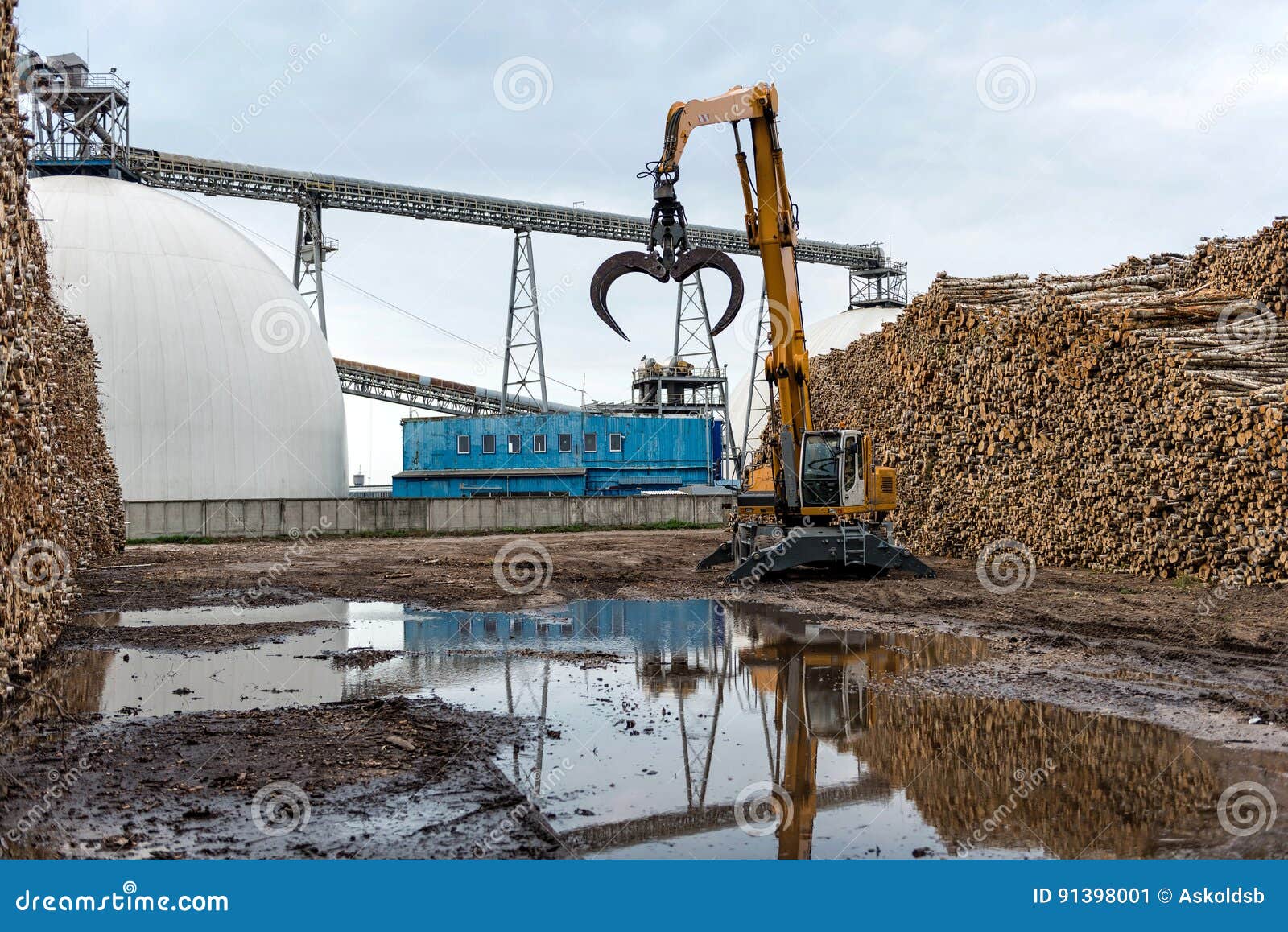 Log Loading Tractor Standing Near a Pile of Logs. Stock Image - Image ...