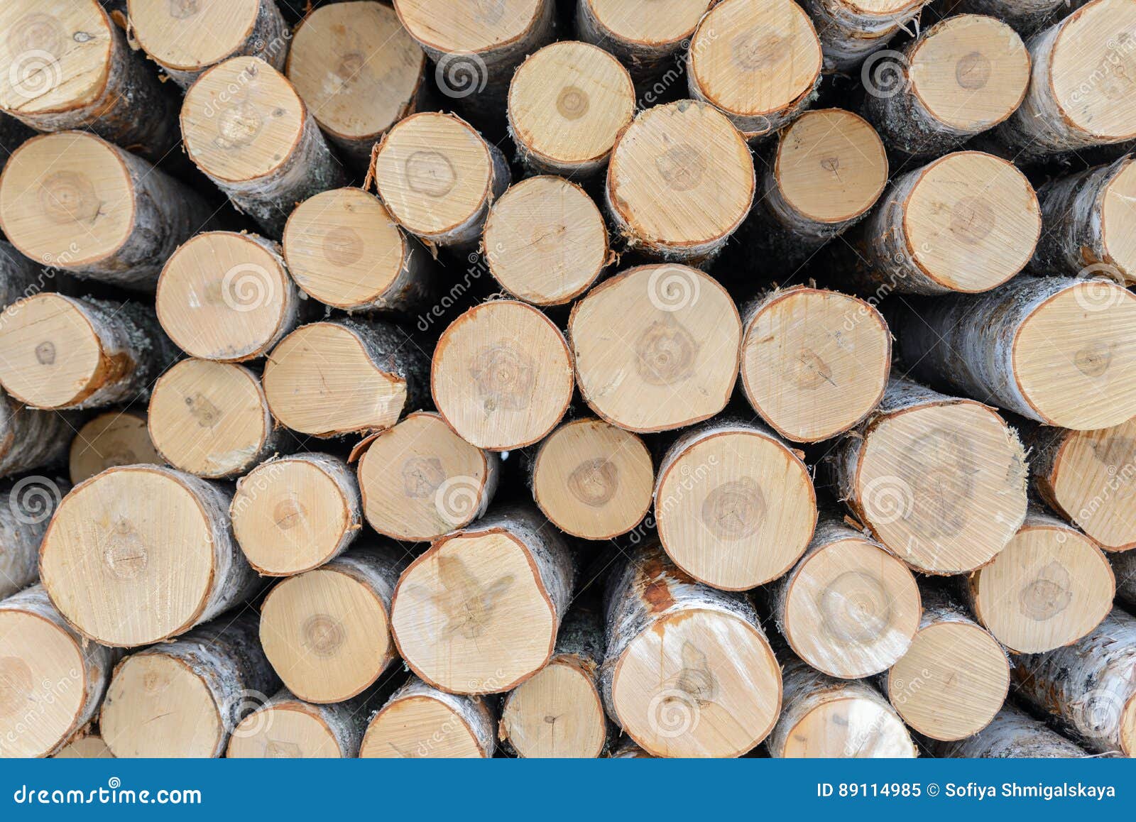 Log lying on the ground stock image. Image of retro, home - 89114985