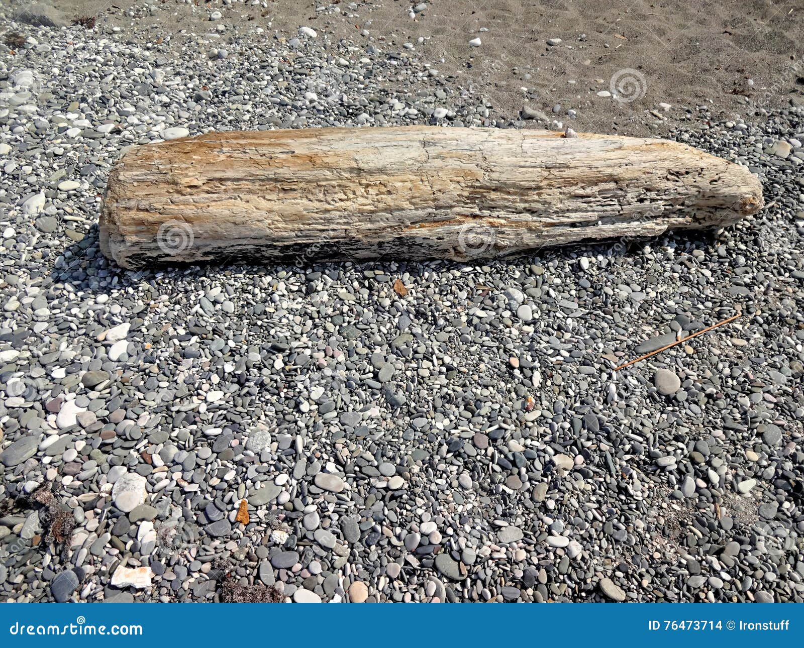 The Log on the Pebble Beach Stock Photo - Image of sand, beach: 76473714