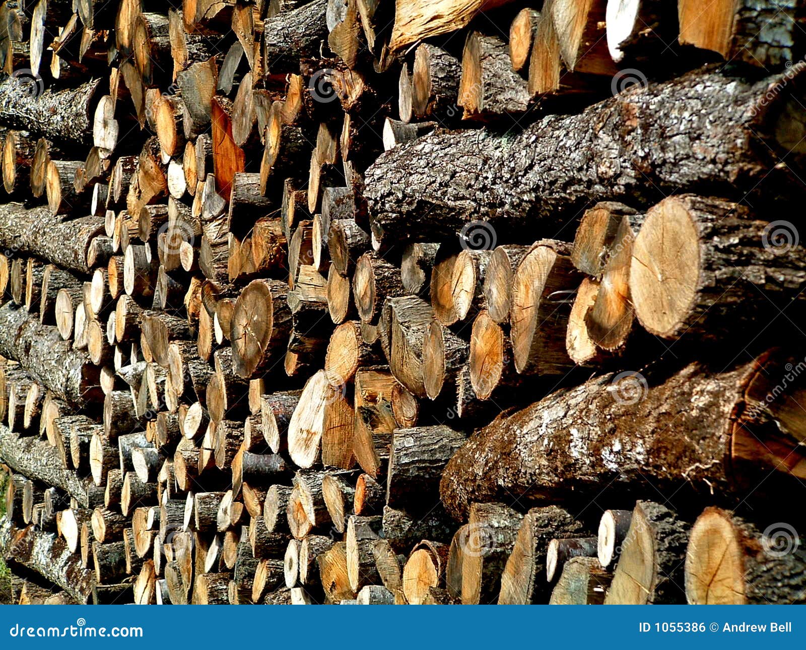Log Pile stock photo. Image of sawing, france, winter - 1055386