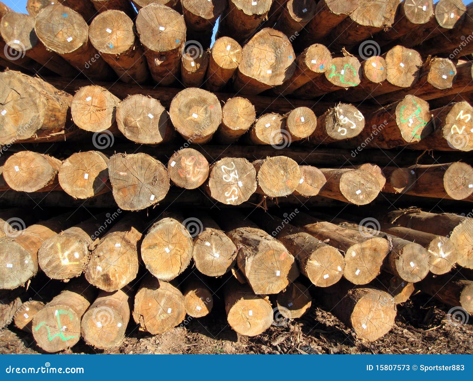 Log pile stock image. Image of plank, timber, forest - 15807573