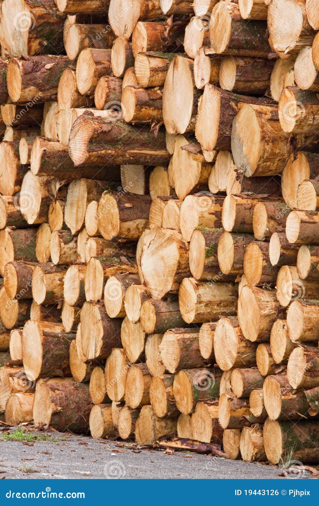 Log pile stock photo. Image of harness, bark, stacked - 19443126