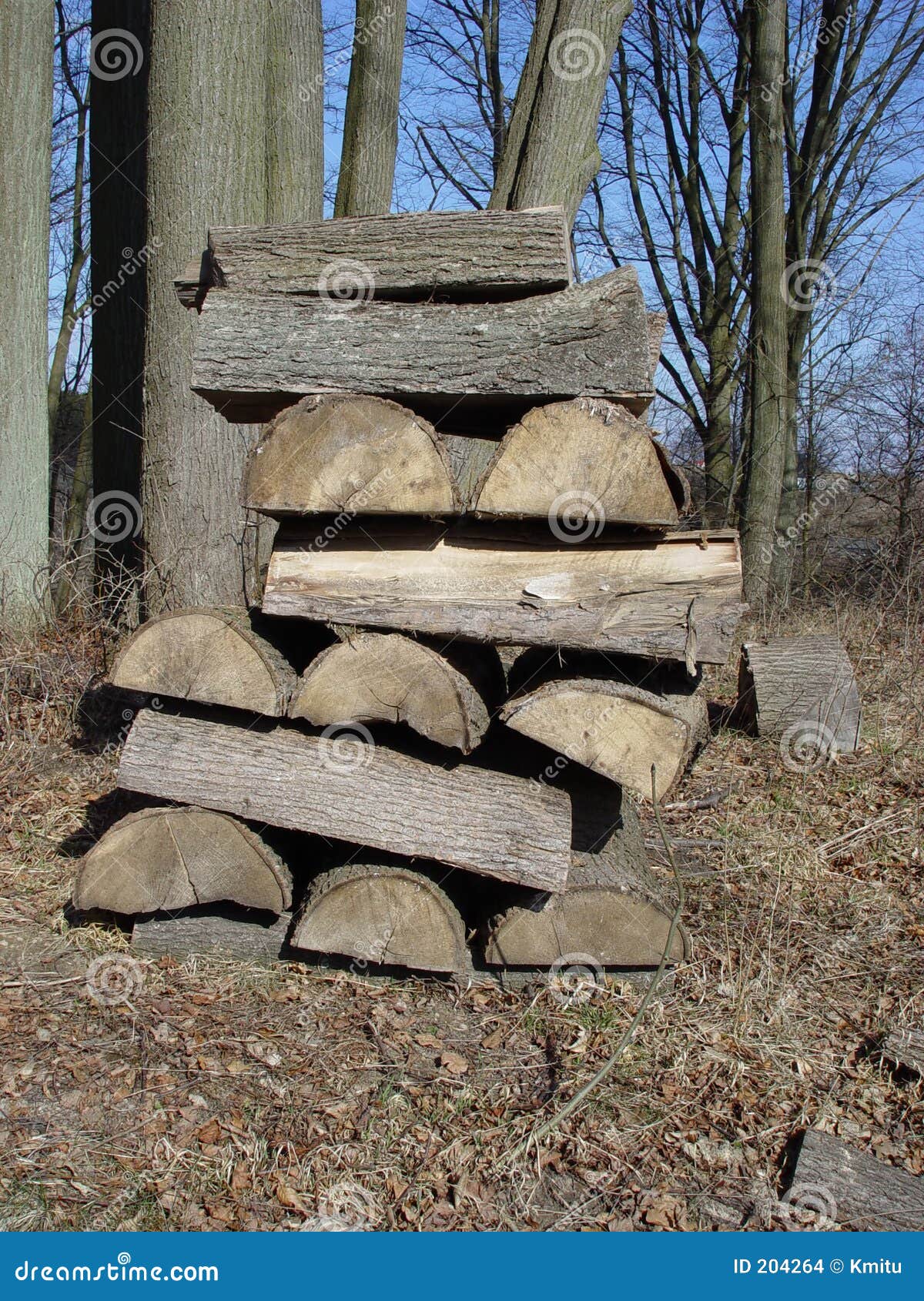 Log pile #2 stock photo. Image of firewood, stack, forest - 204264