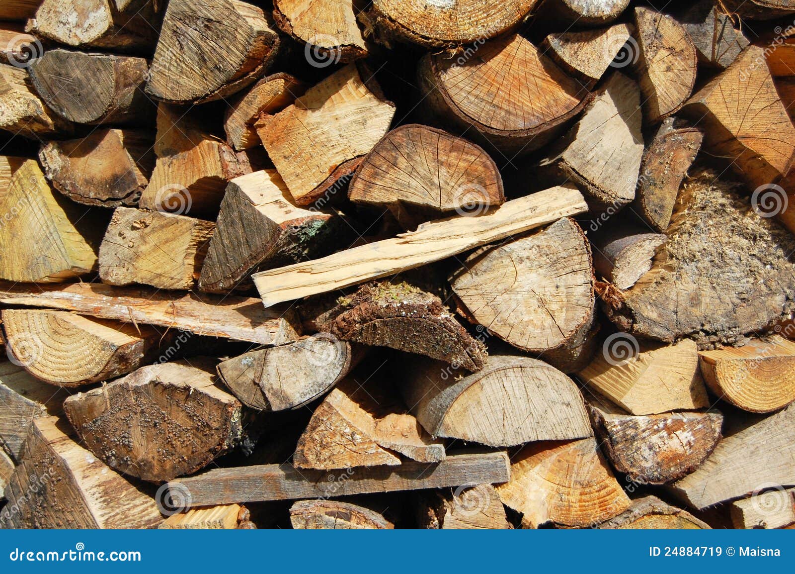 Log pile stock image. Image of biodiversity, organic - 24884719