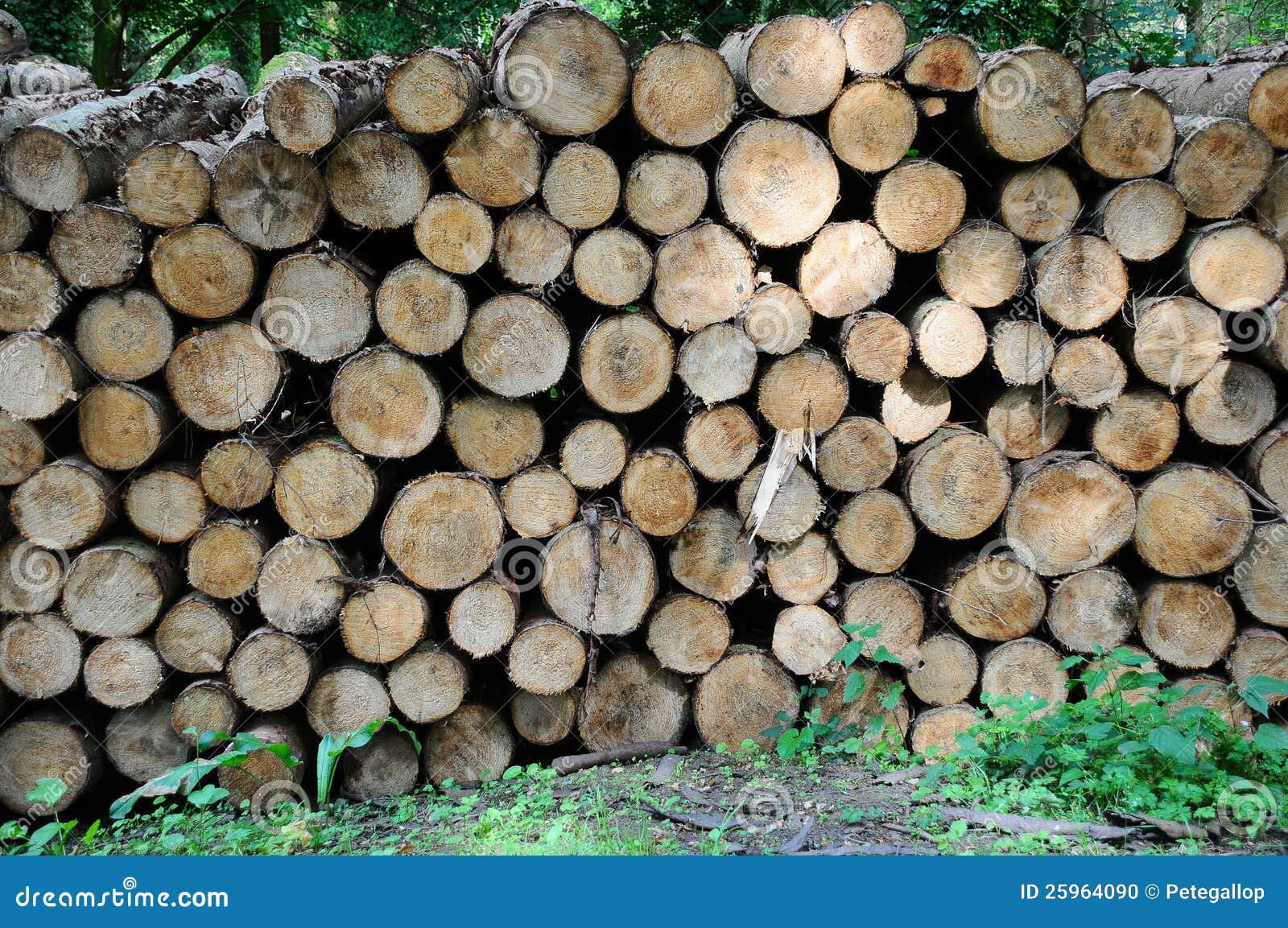 Log pile stock photo. Image of forestry, branches, trees - 25964090