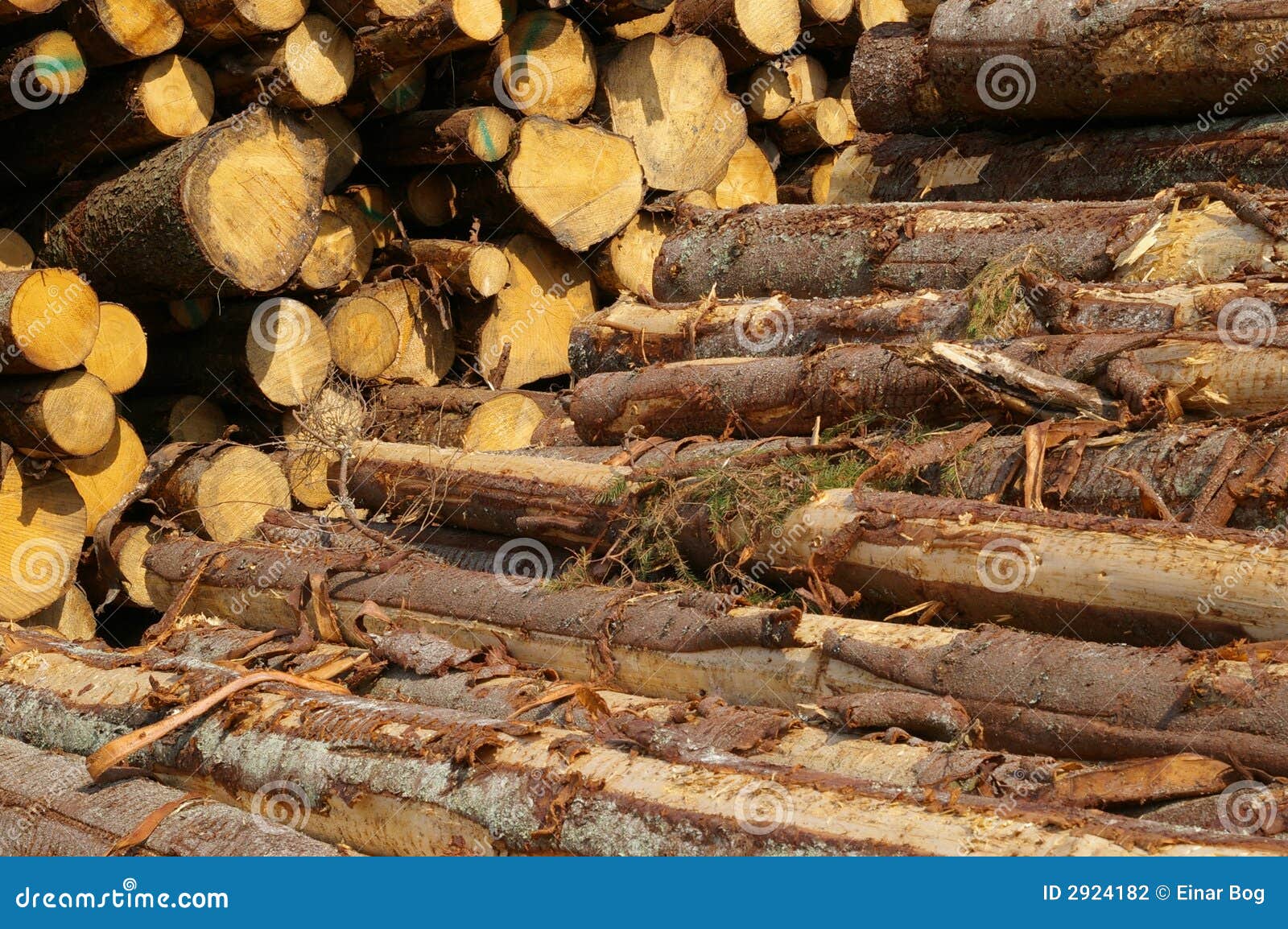Log Pile stock photo. Image of lumber, woodpile, natural - 2924182