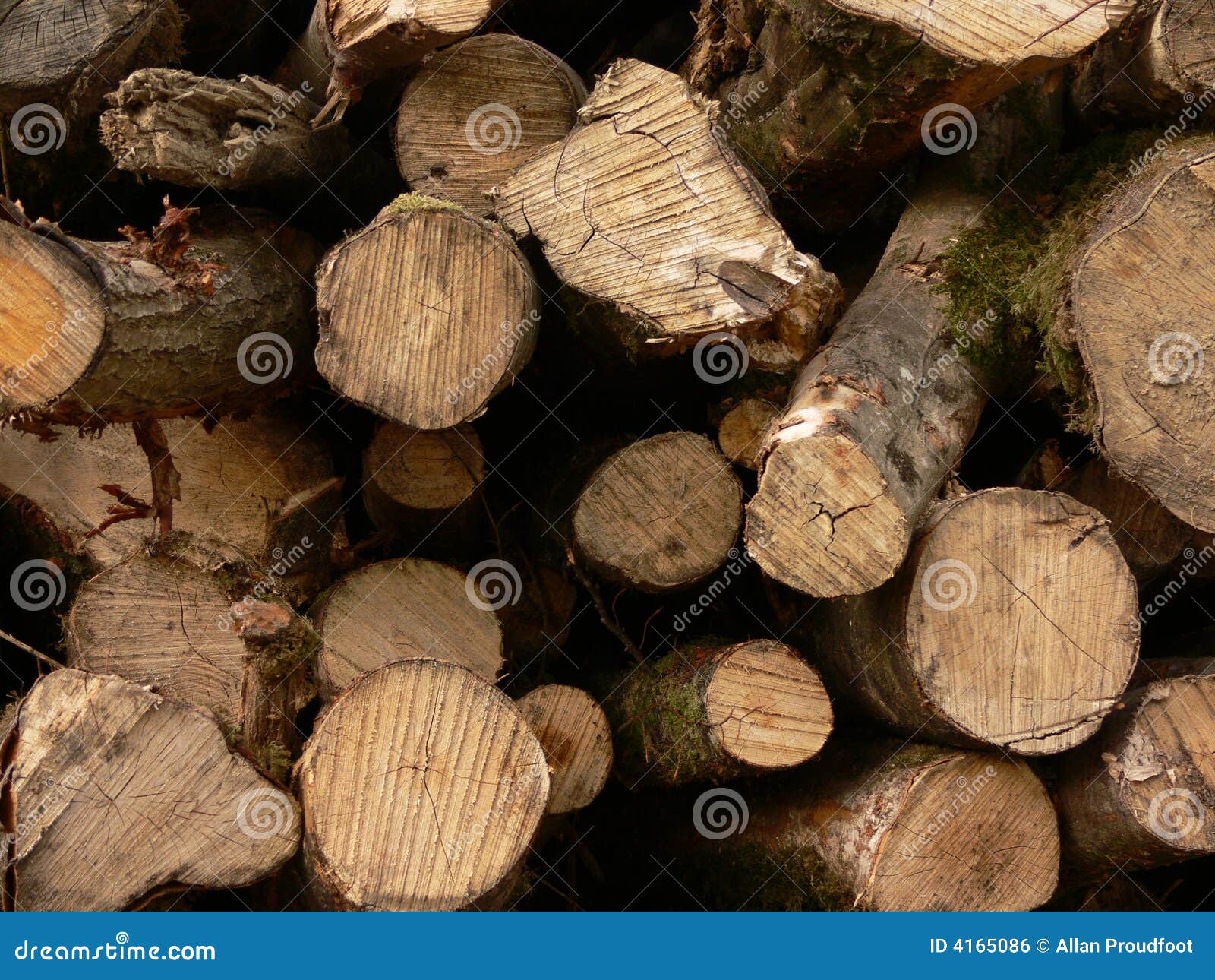 Log pile stock photo. Image of lumber, management, selling - 4165086