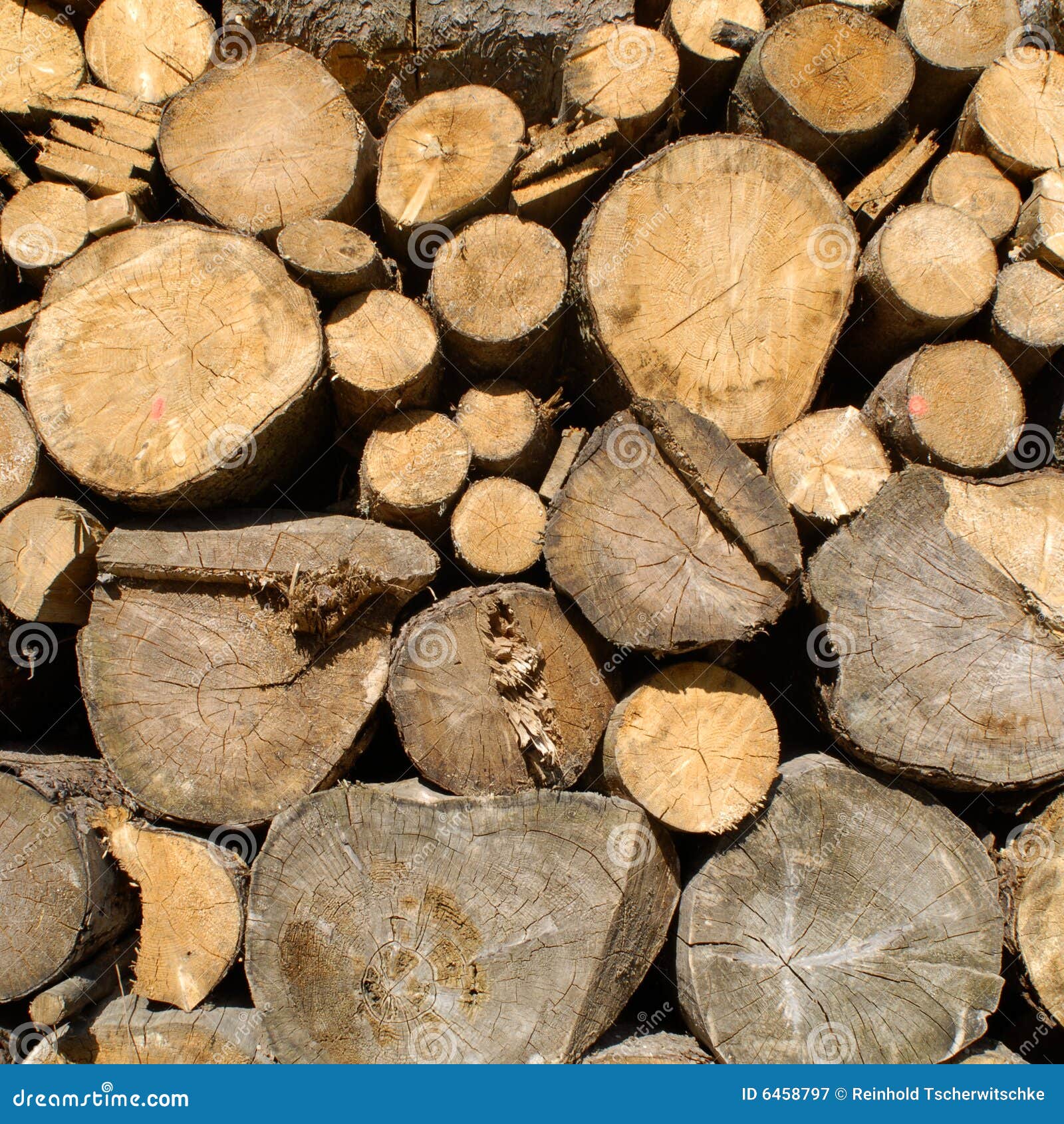 Log Pile stock image. Image of piles, barks, pattern, forest - 6458797