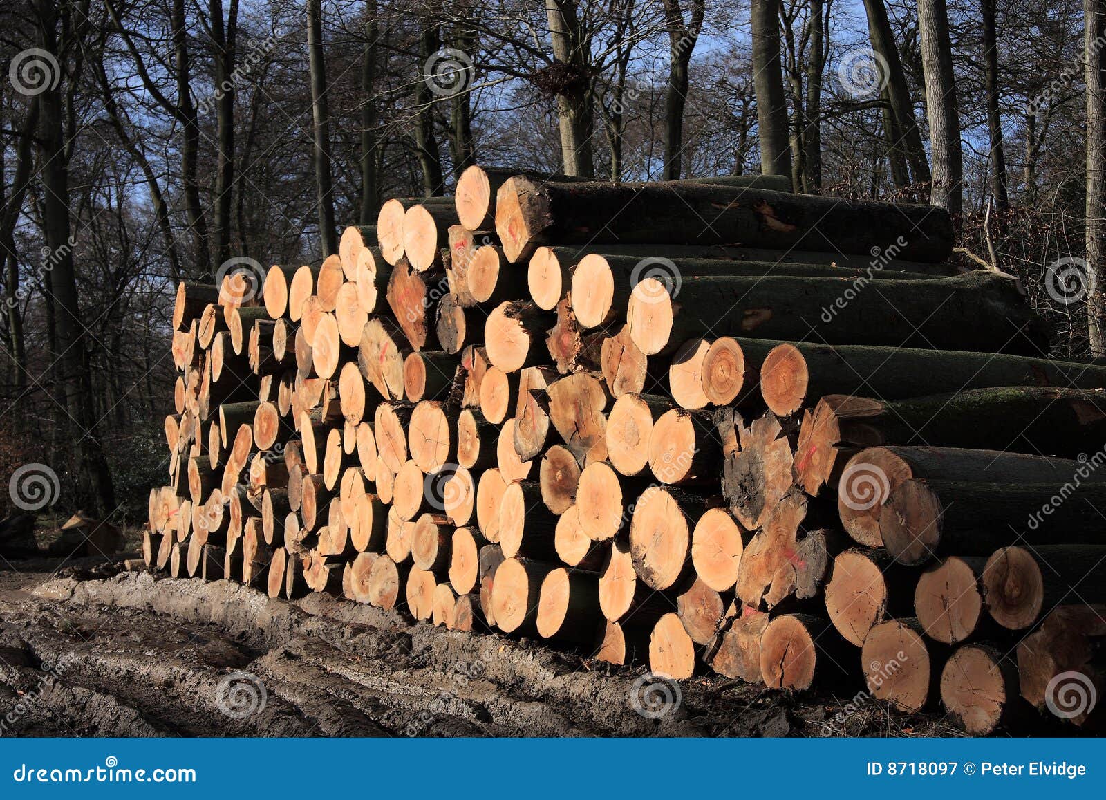 Log Pile stock image. Image of sawmill, wood, industry - 8718097