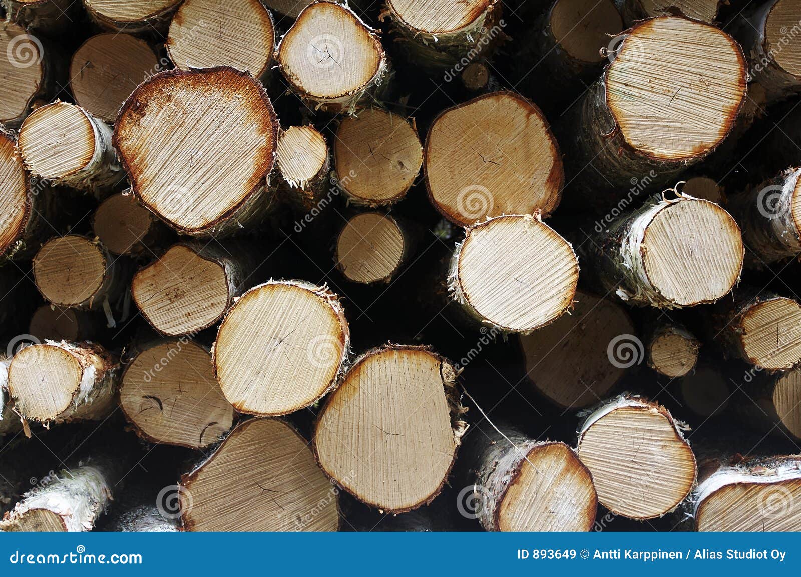 Log pile stock image. Image of district, forest, pile, pine - 893649