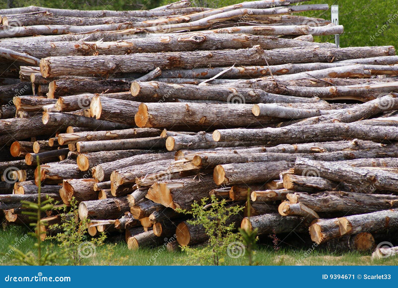 Log Pile stock image. Image of delimbed, conservation - 9394671