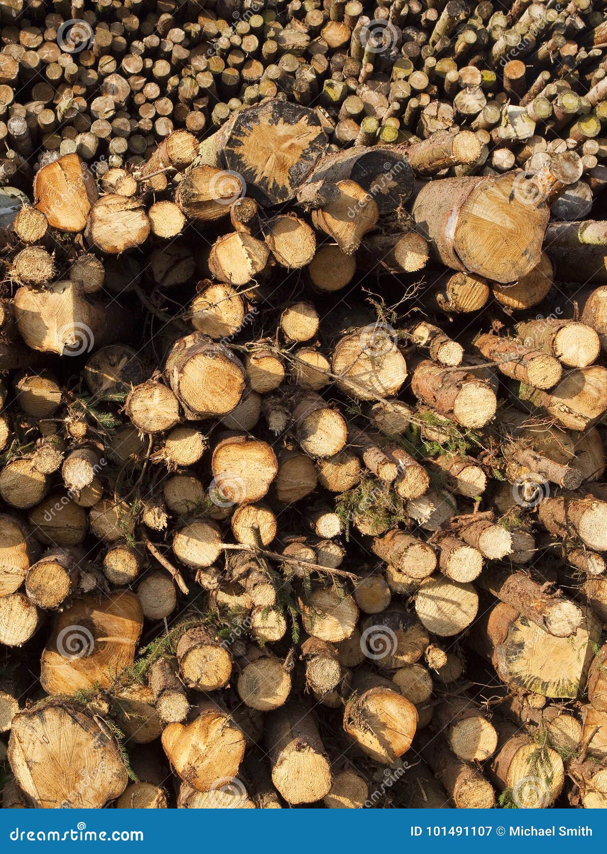 Log pile background stock image. Image of farming, stack - 101491107