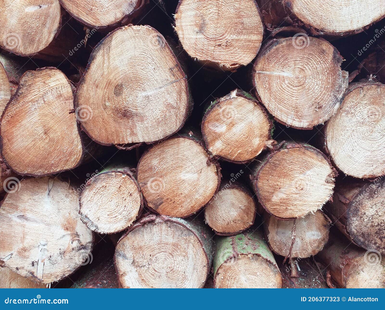 Log Pile Background stock image. Image of background - 206377323
