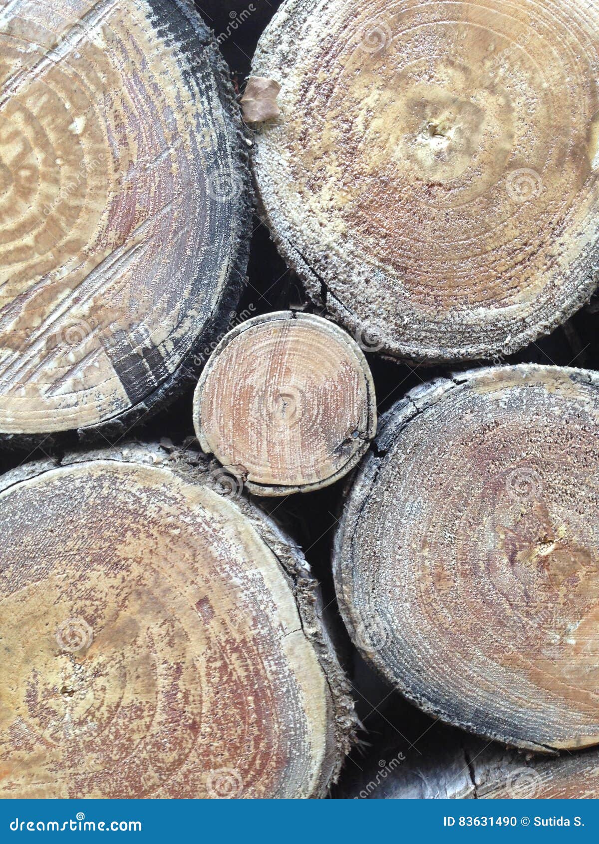 Log stock photo. Image of circle, pile, wooden, shape - 83631490