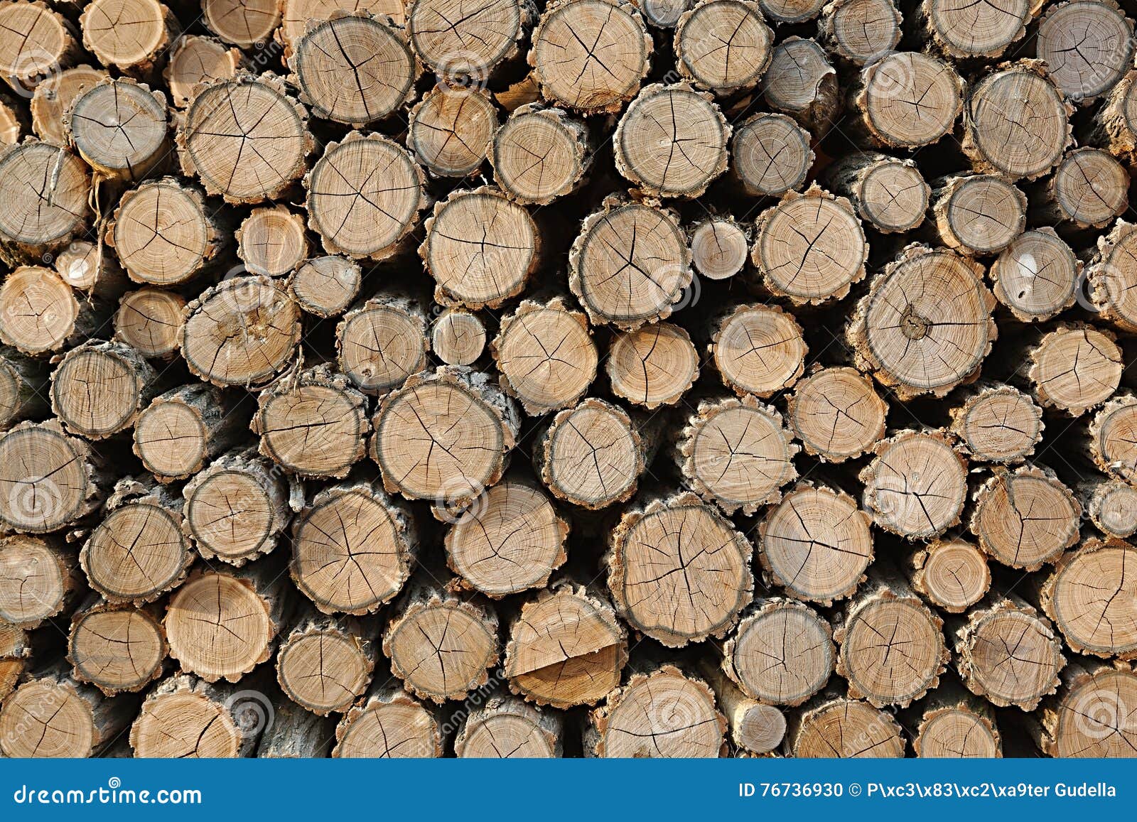 Log Pile stock photo. Image of forest, background, power - 76736930
