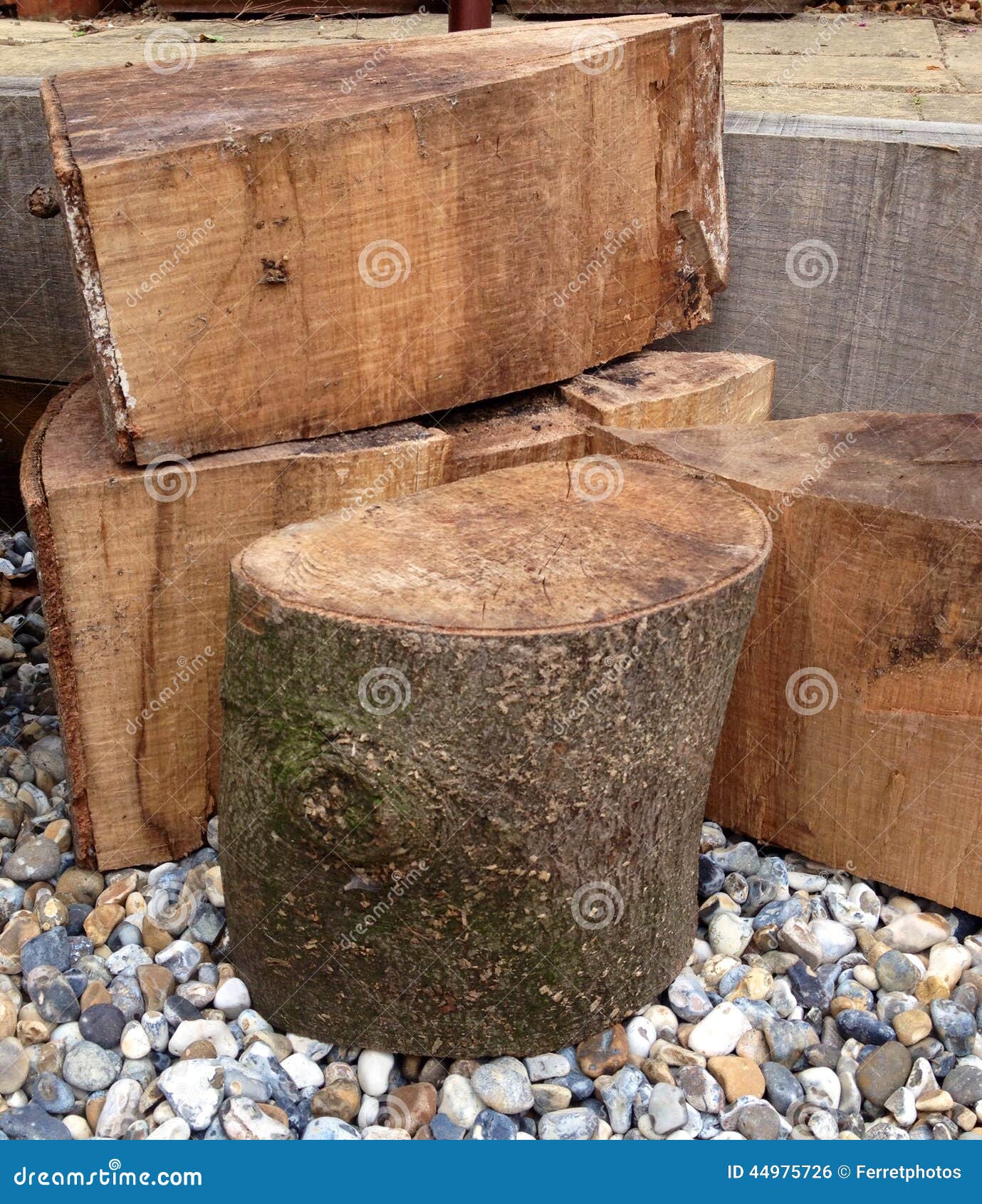 Log pile stock photo. Image of small, logs, pile, garden - 44975726