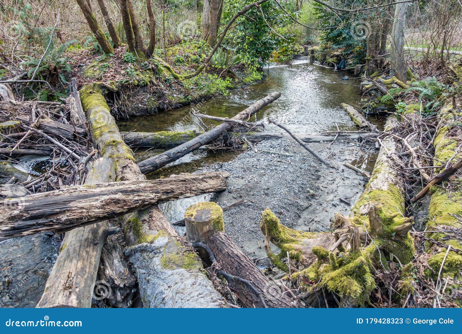 Log Pile in Stream 6 stock image. Image of wilderness - 179428323