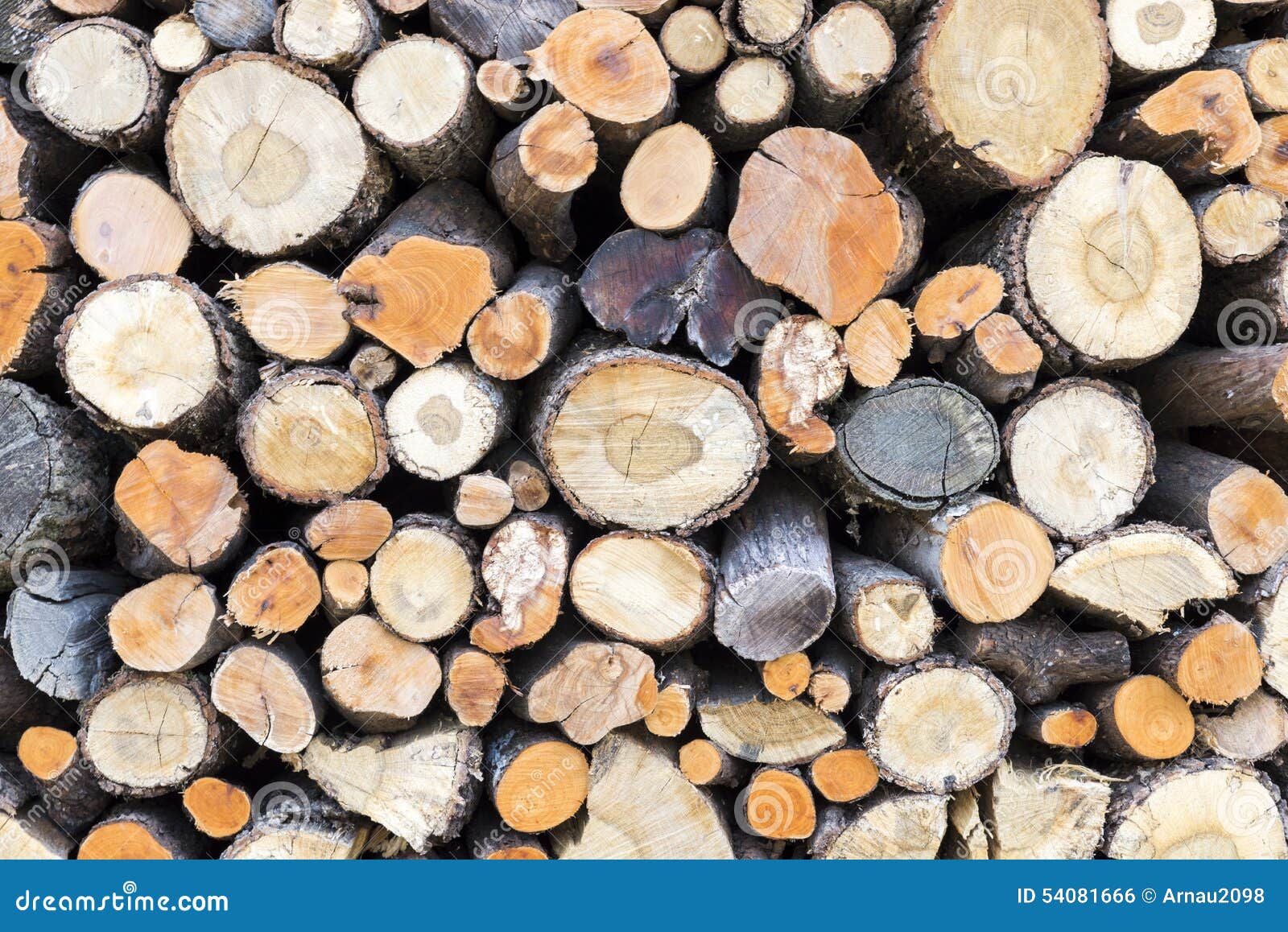 Log pile stock photo. Image of outdoor, round, lumber - 54081666