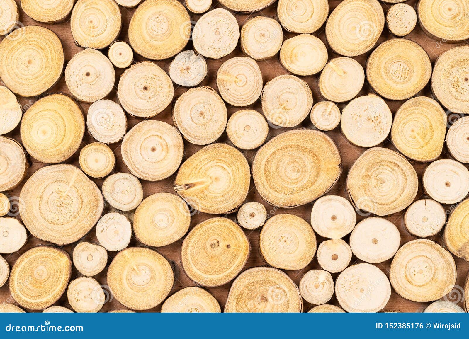 Log Pile Wood Cut Pattern Decorative Background Stock Photo - Image of ...