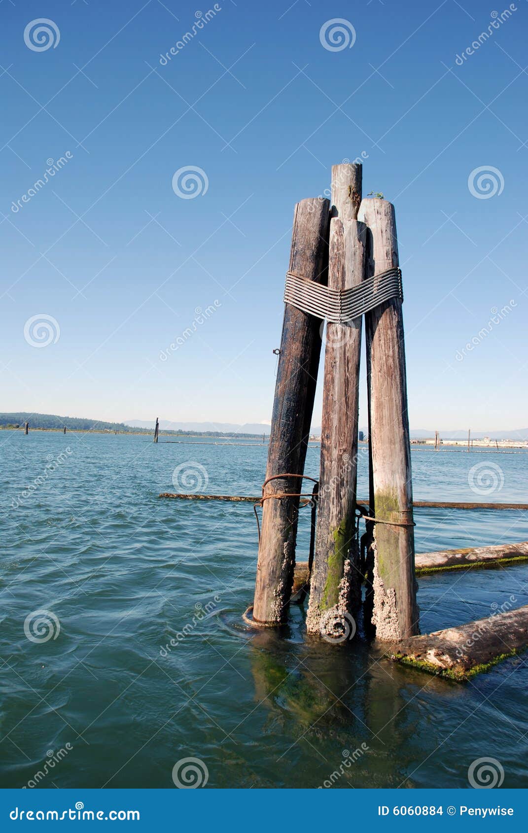 Log pilings stock photo. Image of pilings, leisure, float - 6060884