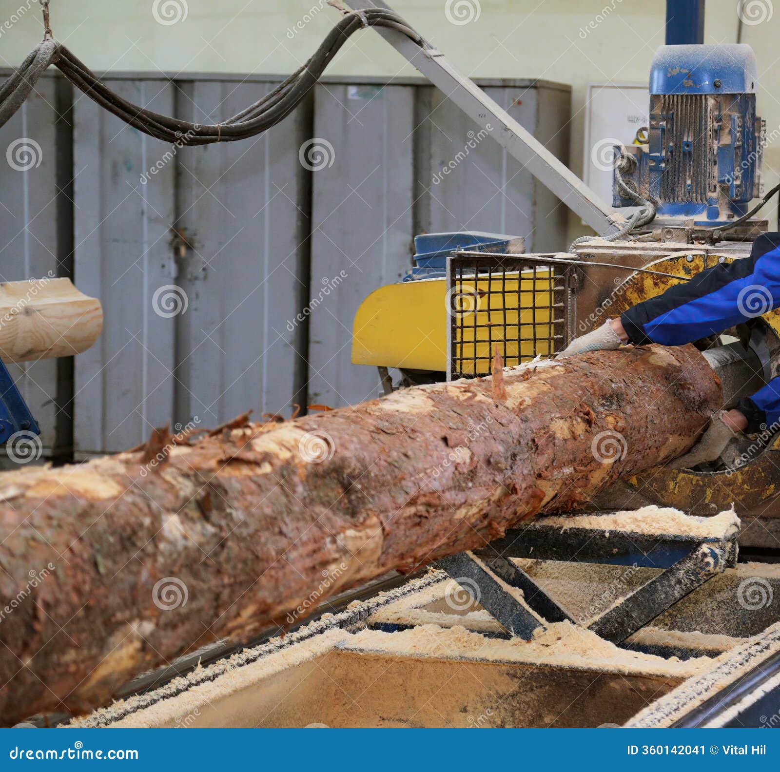 Log Processing in a Lumber Mill with Machinery Shaping Wood during ...