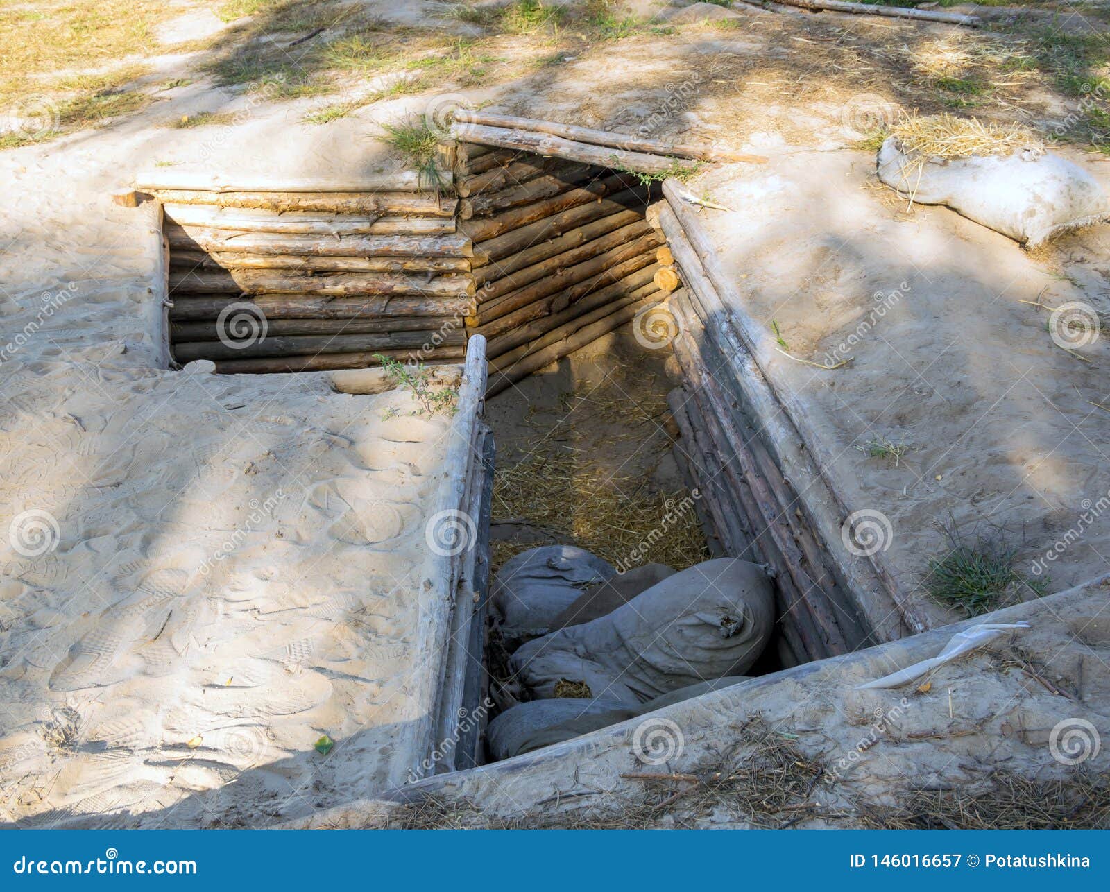 Log Reinforced Trench with Covered Center Transition Stock Image ...